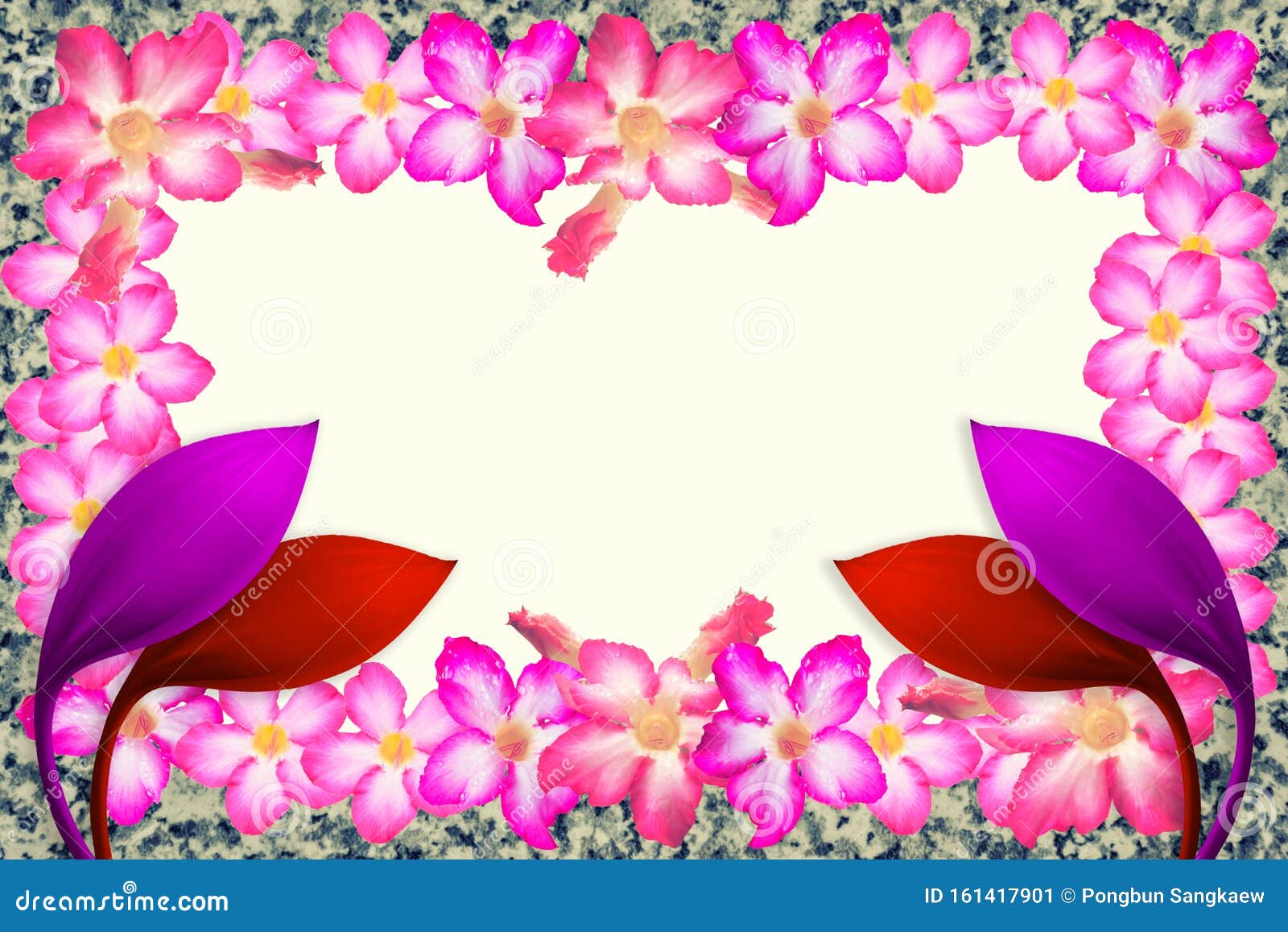 Pink and Red Flower Border Abstract Spring ,nature Background Stock ...