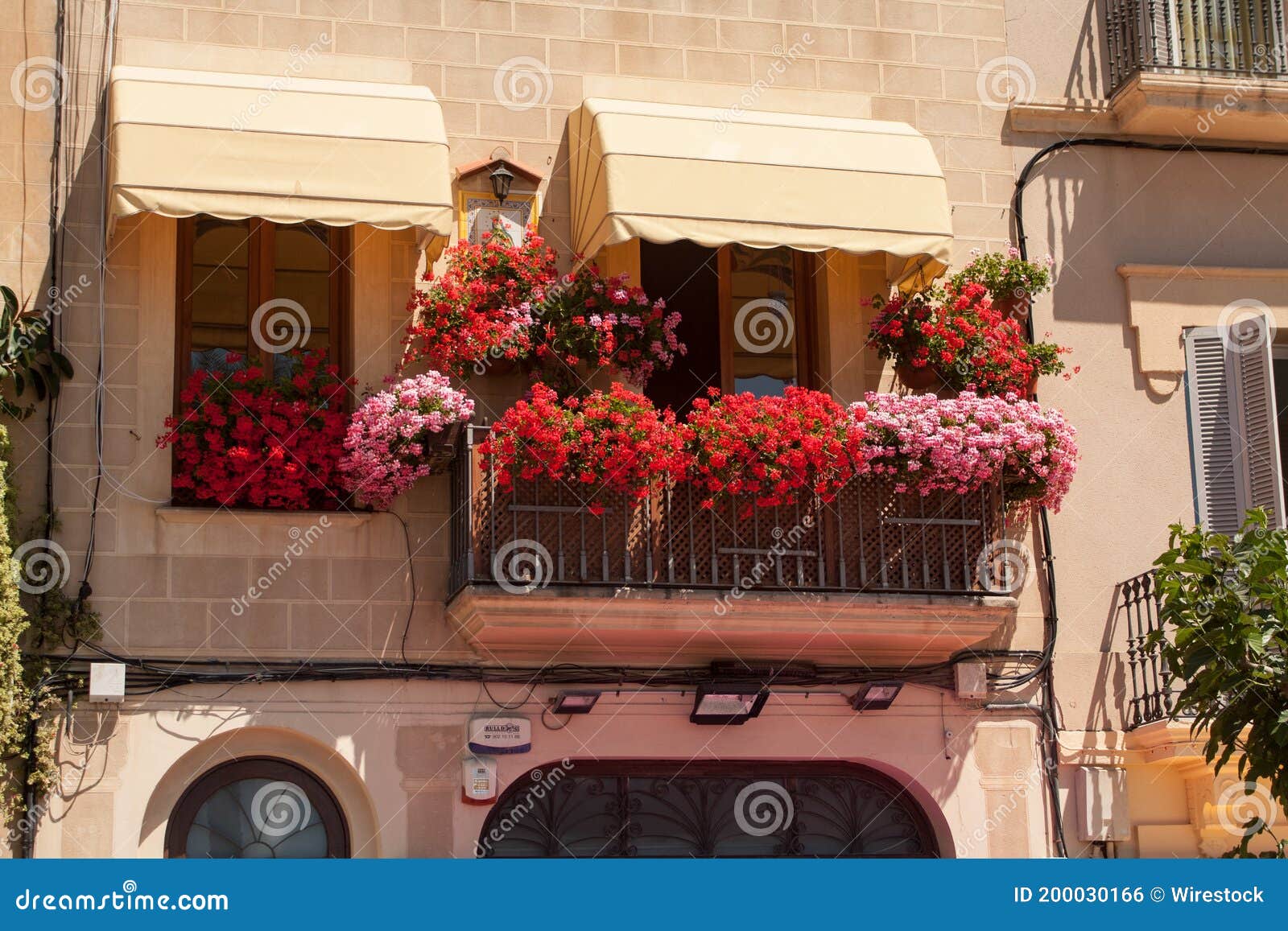 Pink and Red Flowers on the Balcony Stock Photo - Image of view, style ...