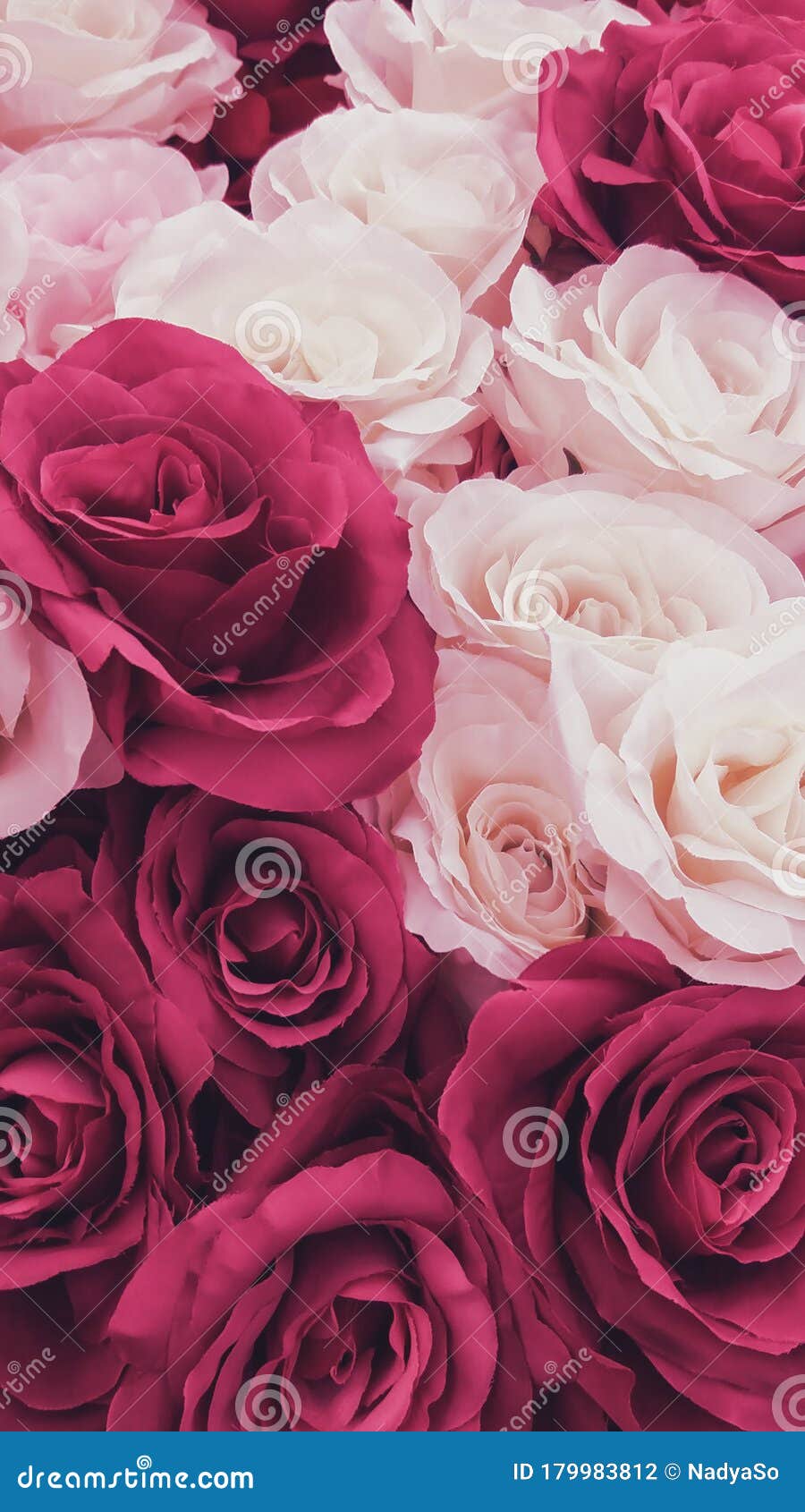 Pink and Red Textile Roses Vertical Background Stock Photo - Image of ...