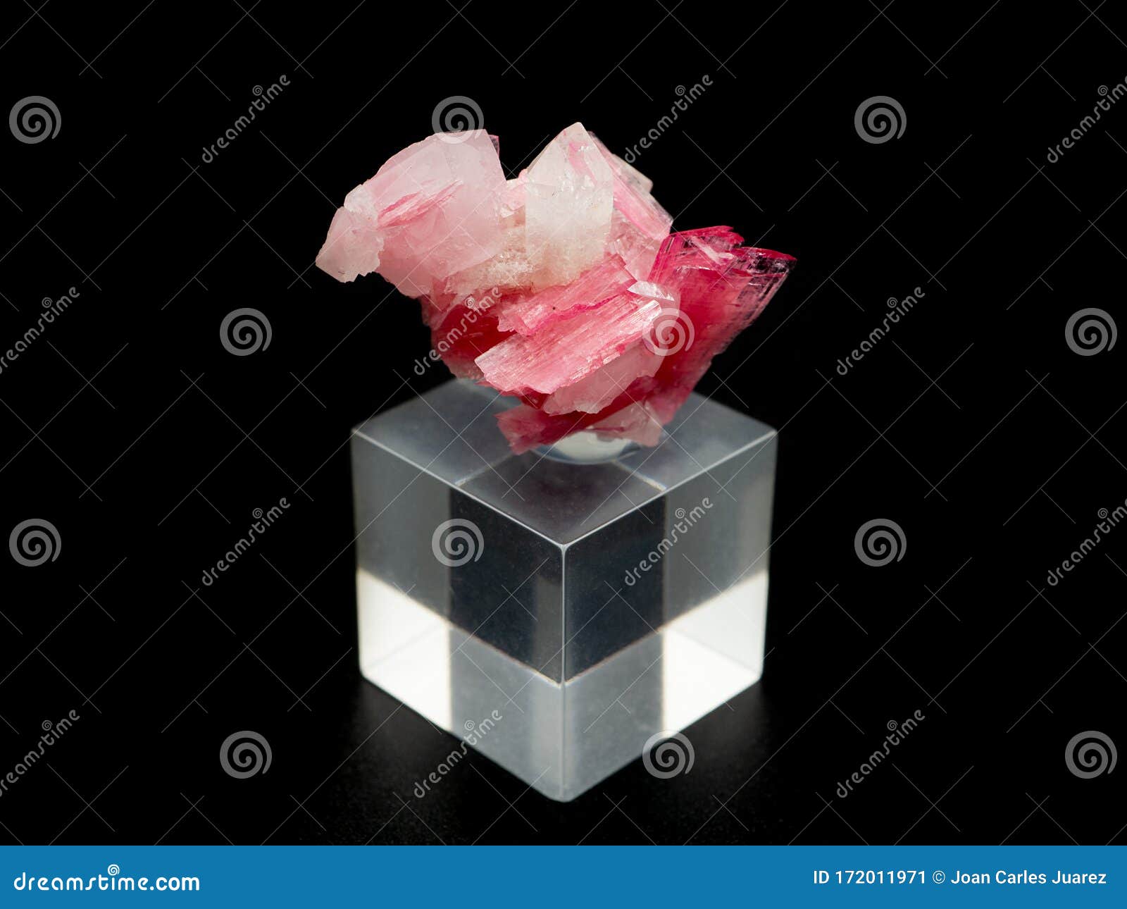 Pink Rhodonite Mineral on Black Background Stock Image - Image of ...