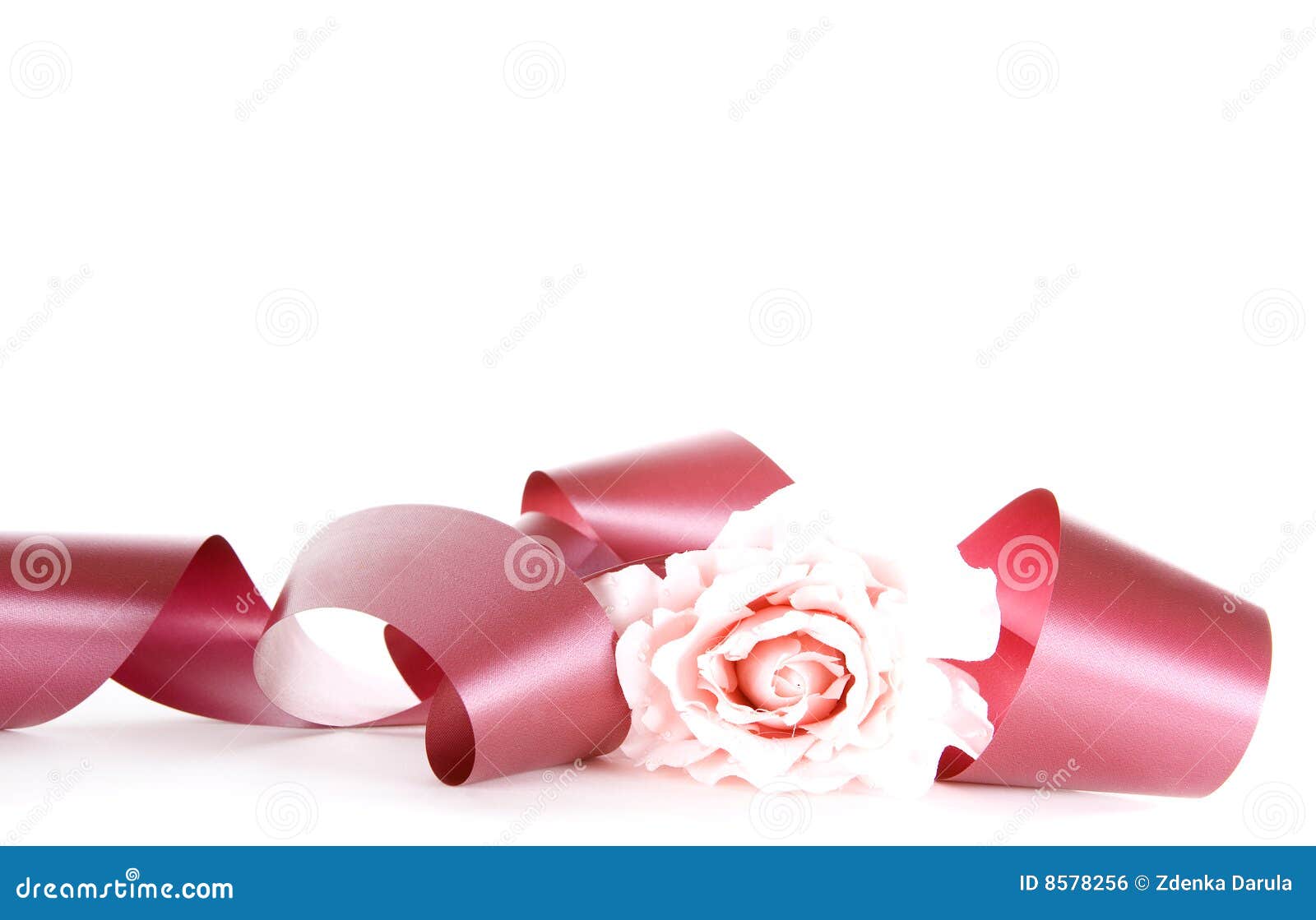 Pink ribbon stock photo. Image of object, abstraction - 8578256
