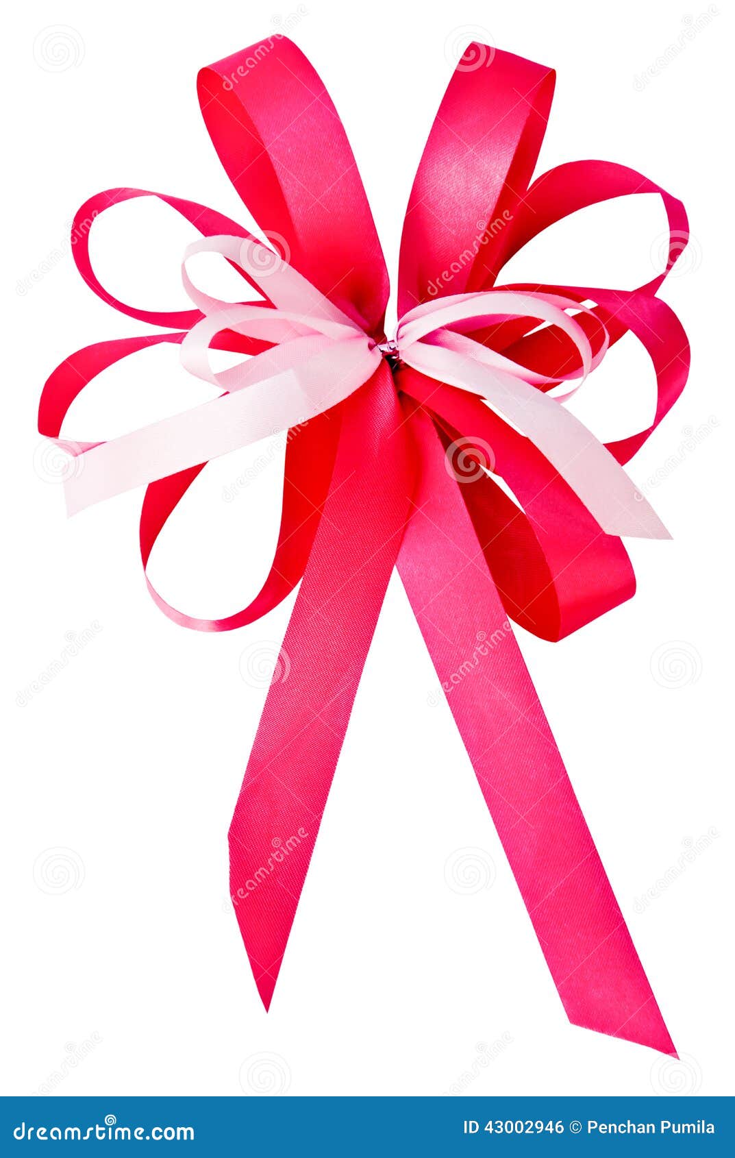 Pink ribbon bow stock photo. Image of pink, invitation - 43002946