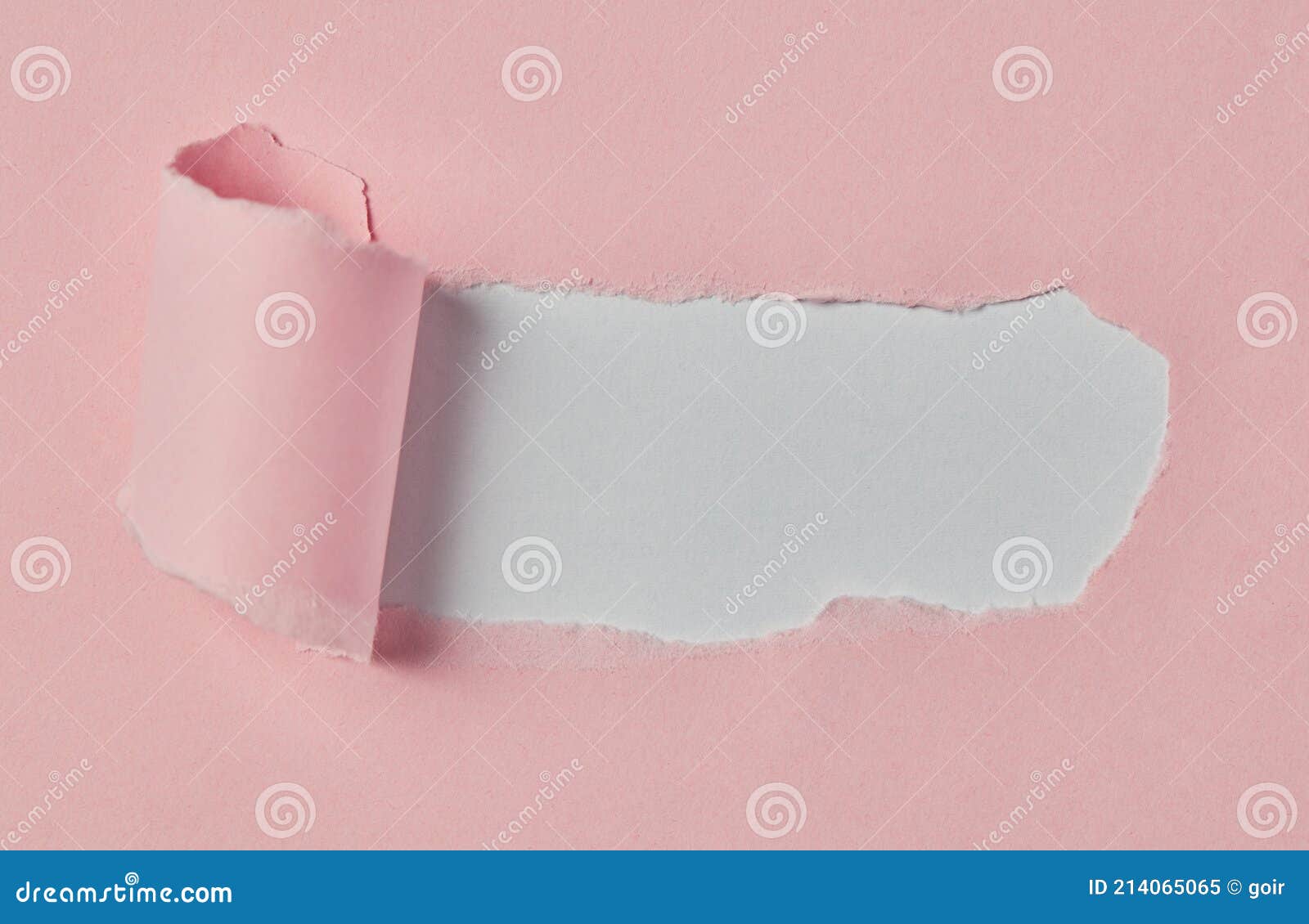 Pink Ripped Paper Curled Up Stock Image - Image of blank, page: 214065065