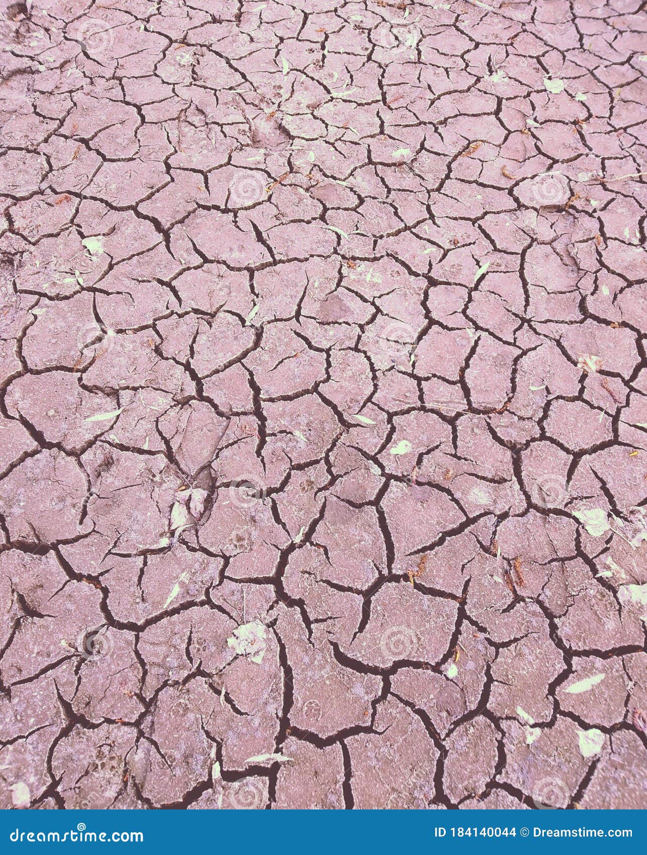Pink river sand in the stock photo. Image of soil, tile - 184140044