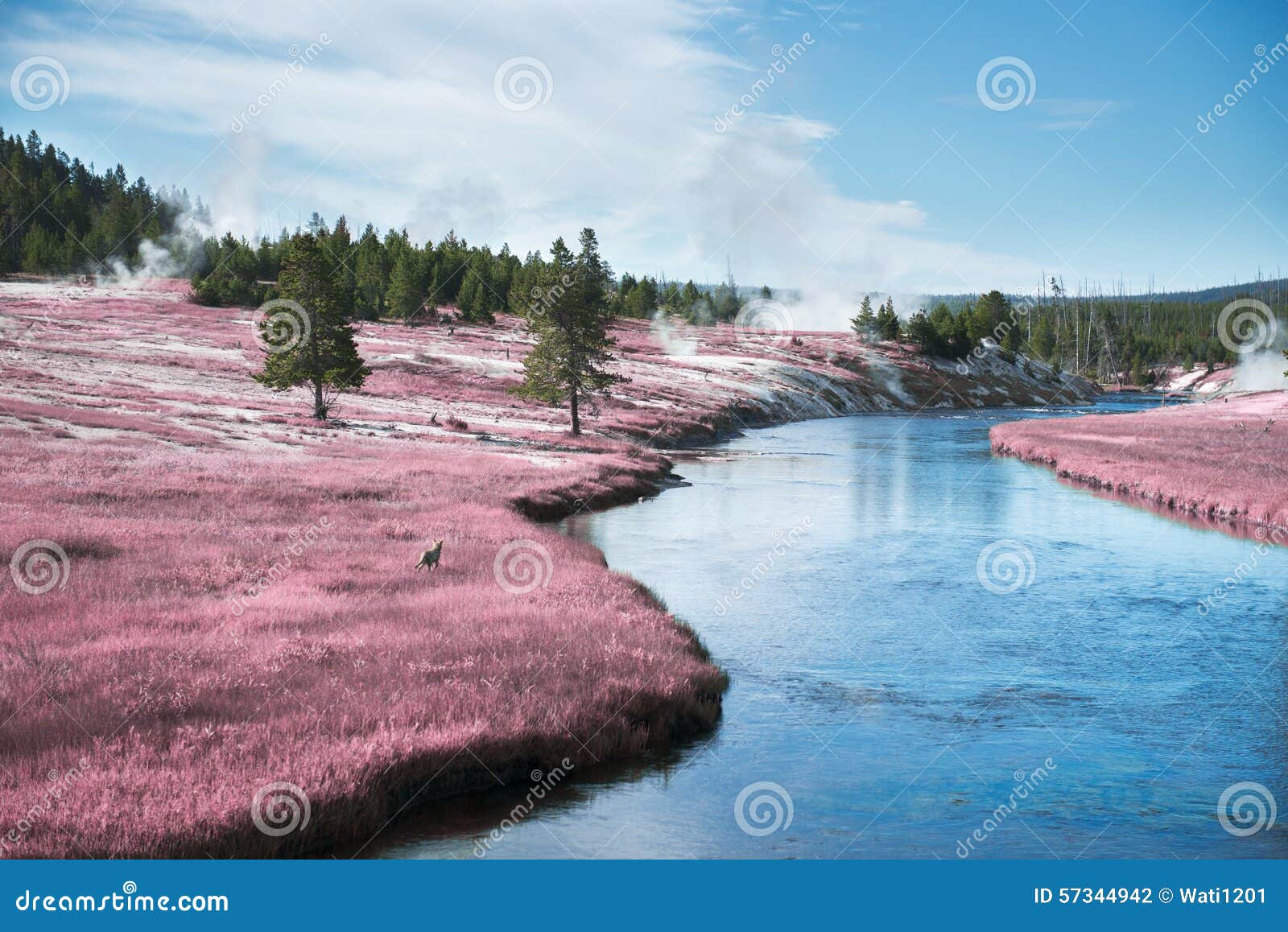 Pink river valley stock photo. Image of spring, land - 57344942