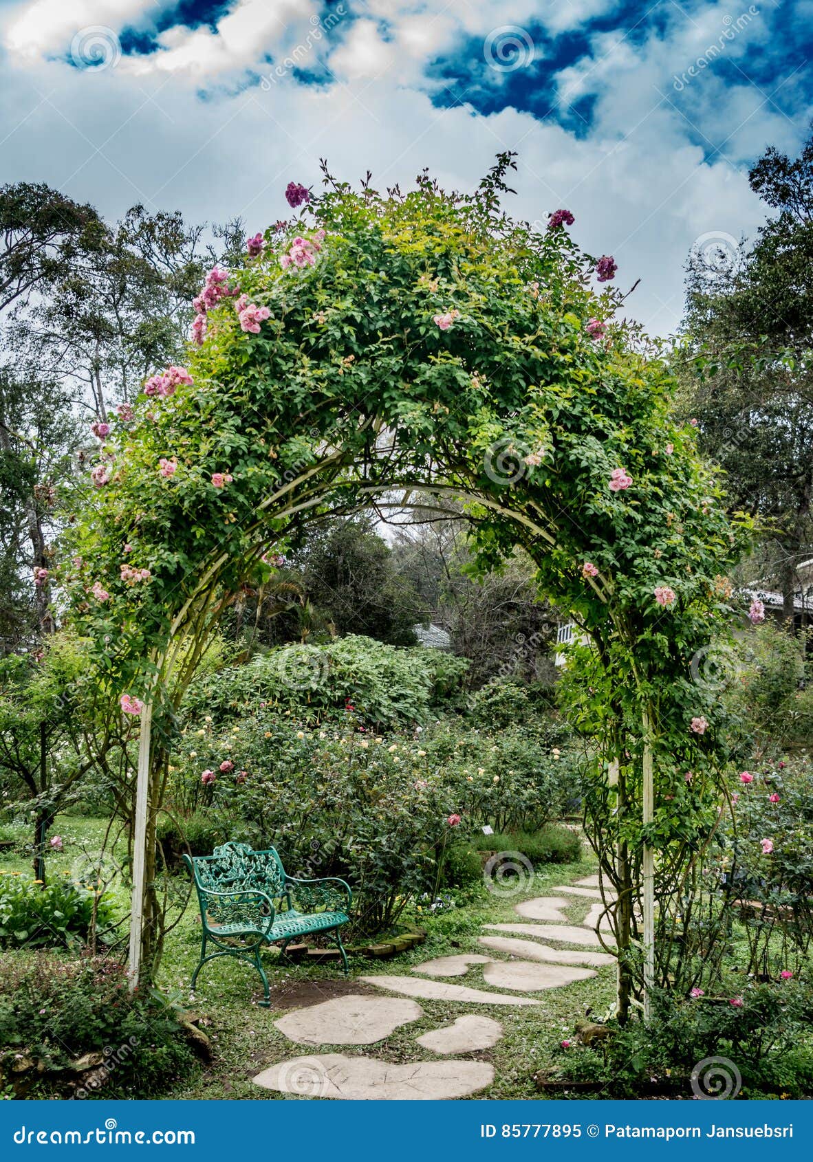 Pink rose arch stock image. Image of beauty, ceremony - 85777895