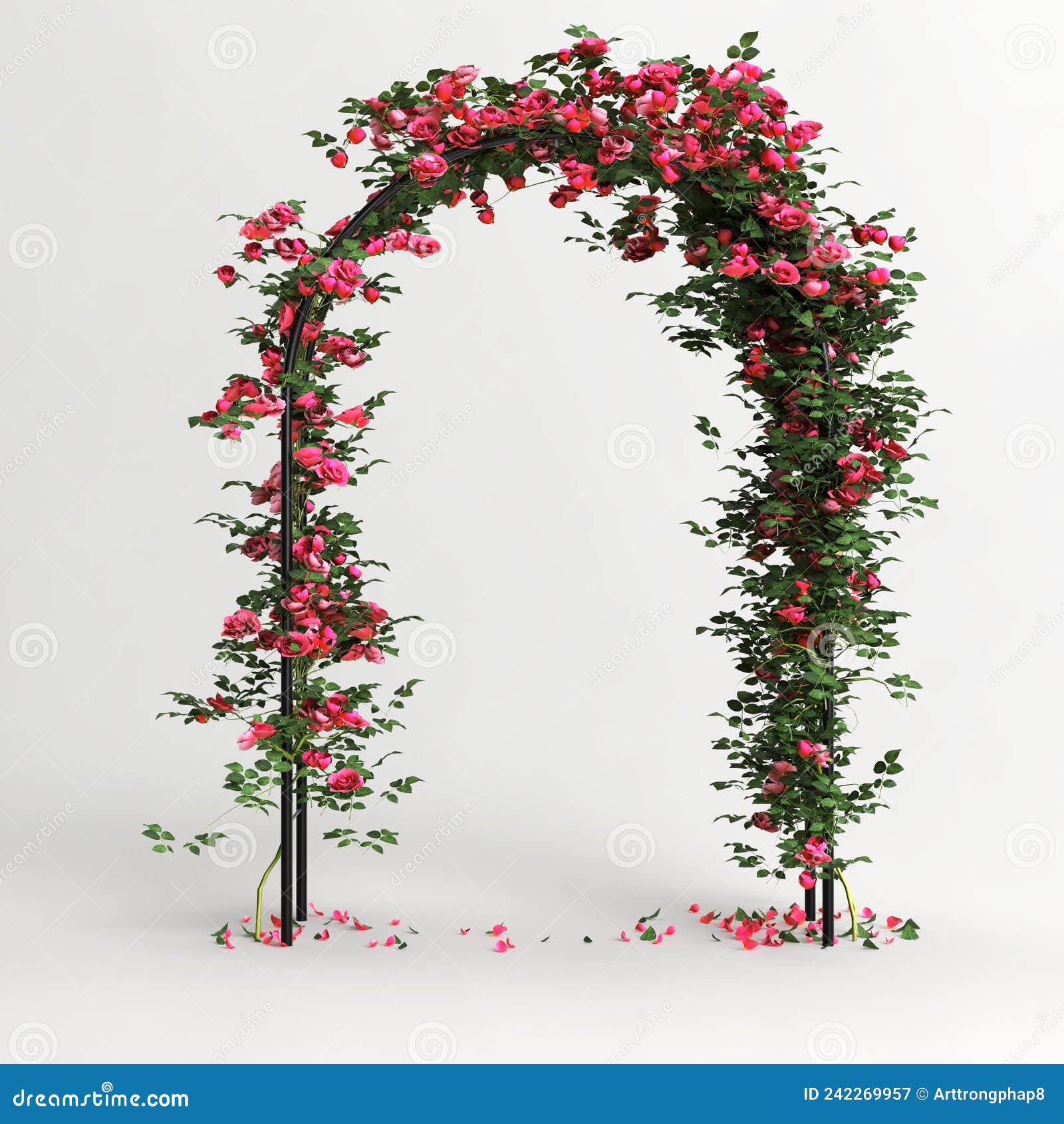 Pink Rose Arch Isolated on Light Background, Front View Stock ...