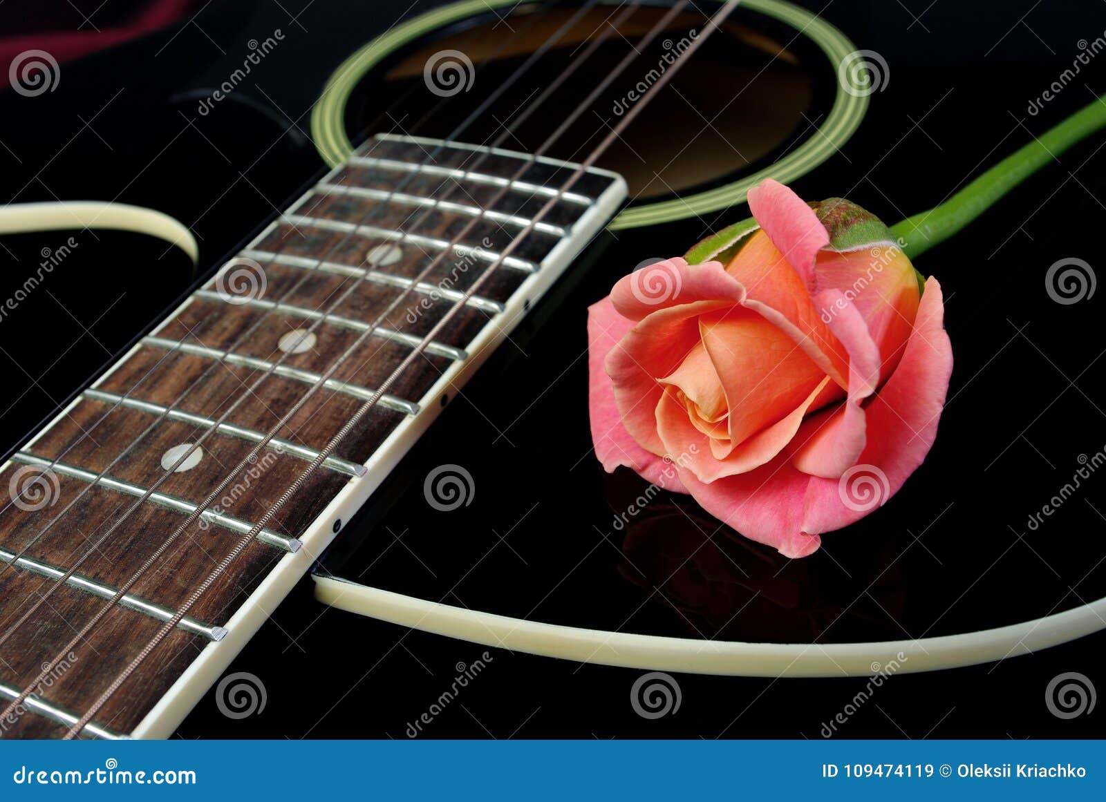 Pink Rose and Black Acoustic Guitar. Stock Image - Image of music ...