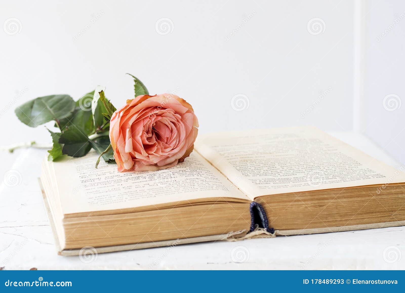 Pink rose and book stock image. Image of design, beautiful - 178489293
