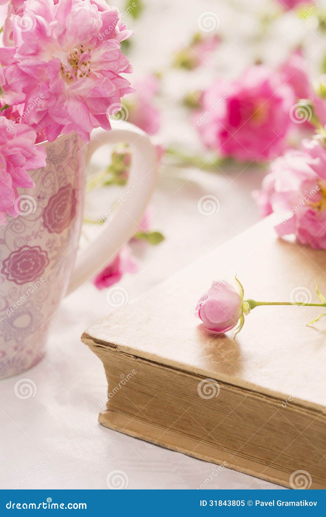 1,589 Pink Rose Book Roses Stock Photos - Free & Royalty-Free Stock ...