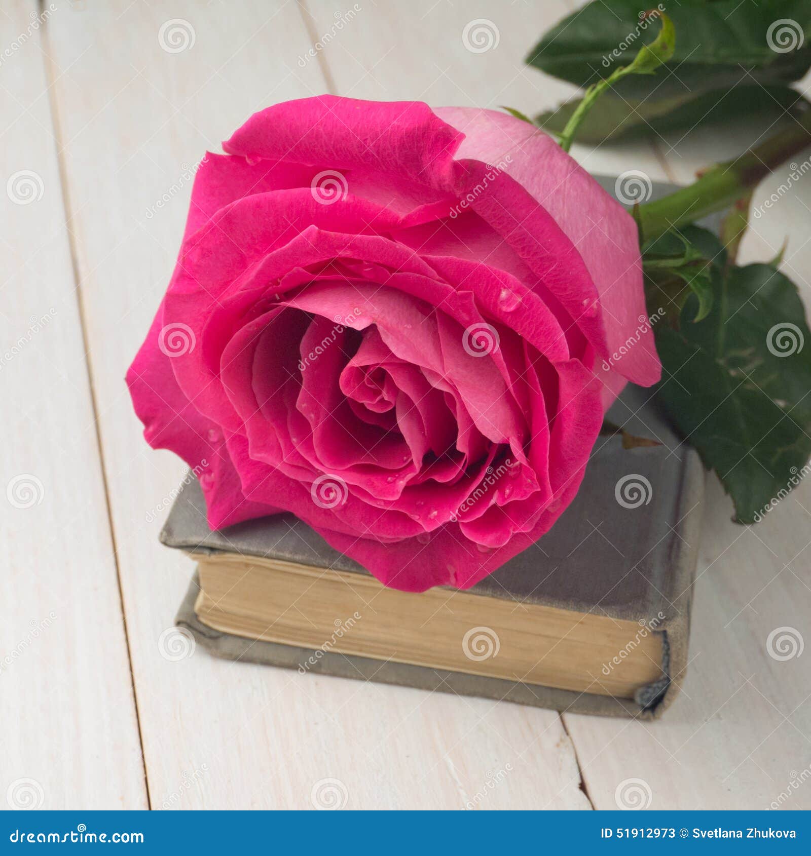 Pink rose on the book stock image. Image of planks, nature - 51912973