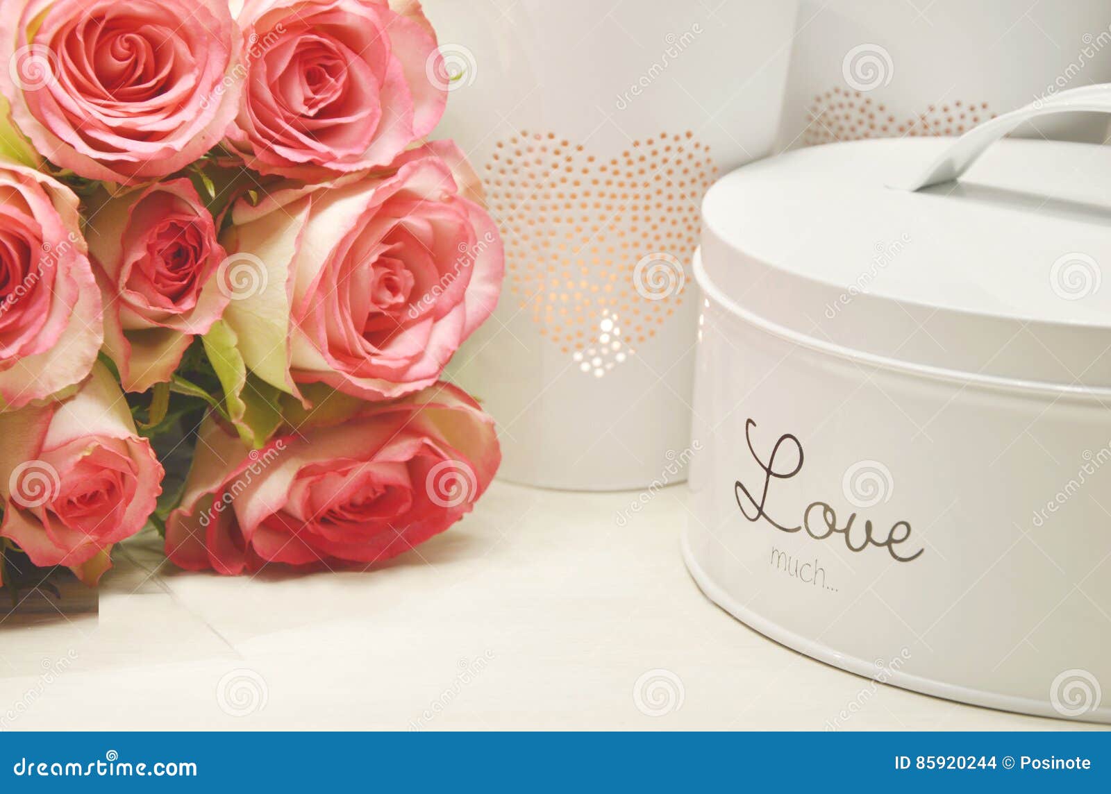 Pink rose stock photo. Image of white, rose, valentine - 85920244
