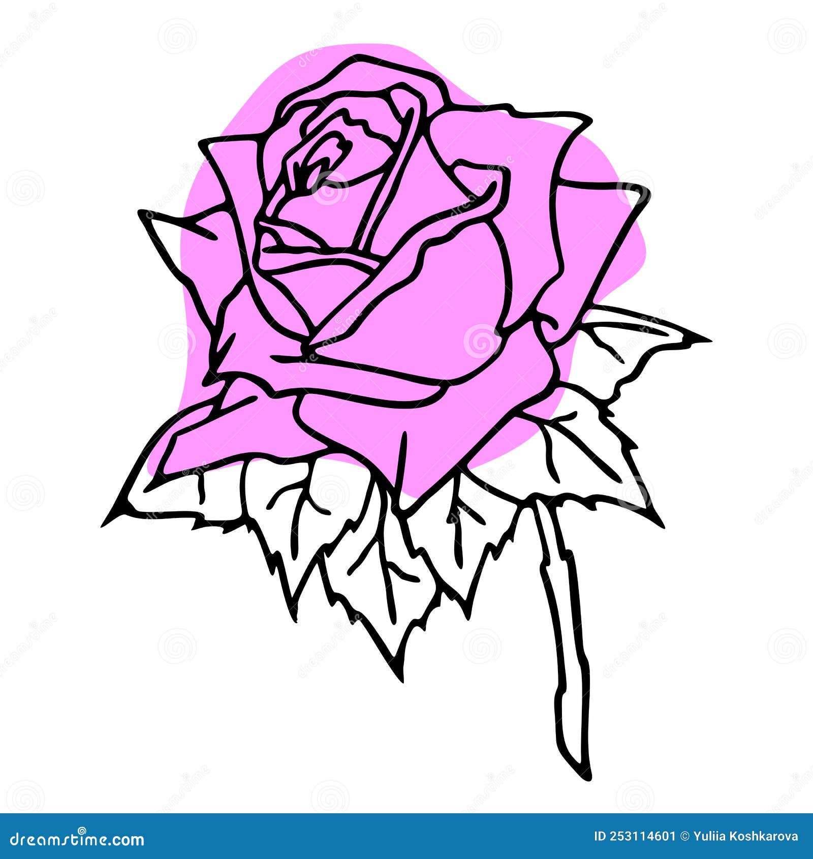 Pink Rose Close-up Drawing, Design, Color Graphics Stock Illustration ...
