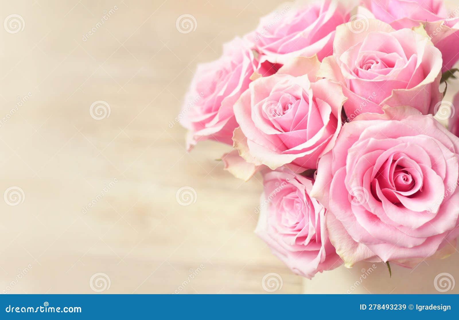 Pink Roses Vintage Style Closed Up Flower Buds and Petals Stock Image ...