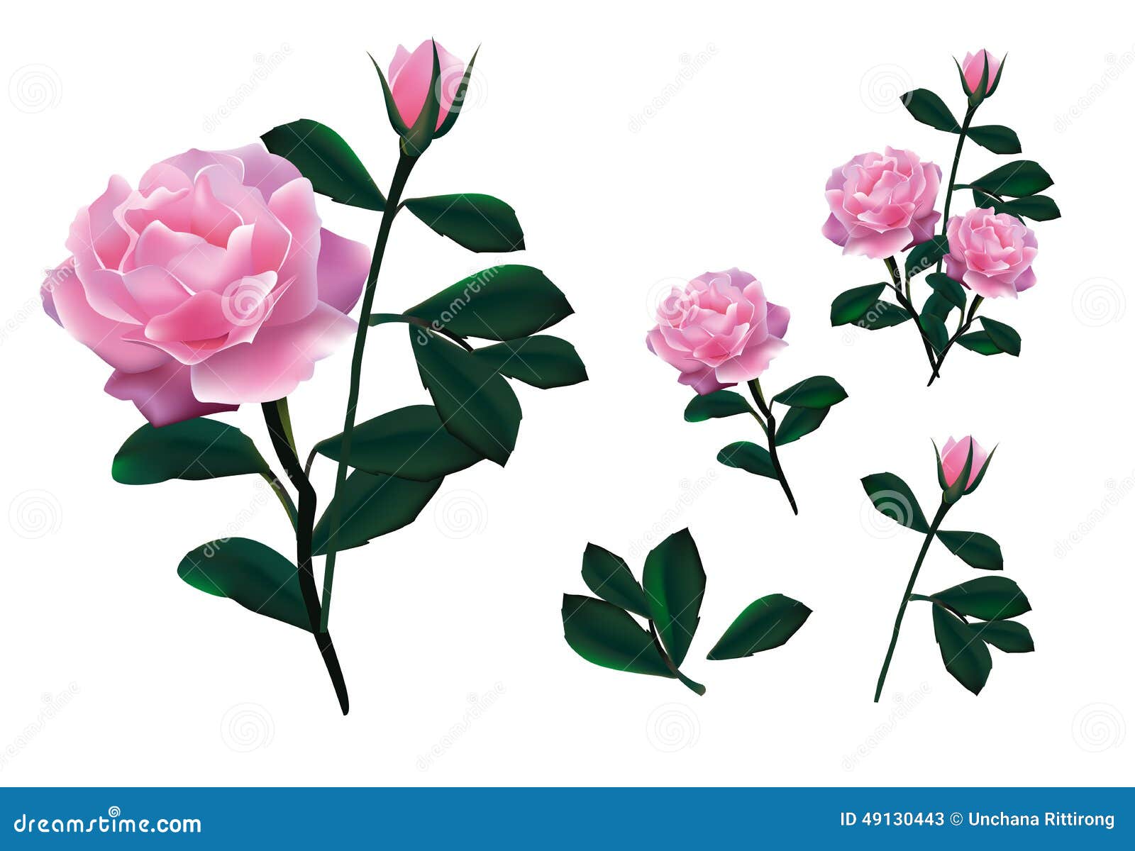 Pink rose design vector stock vector. Illustration of nature - 49130443