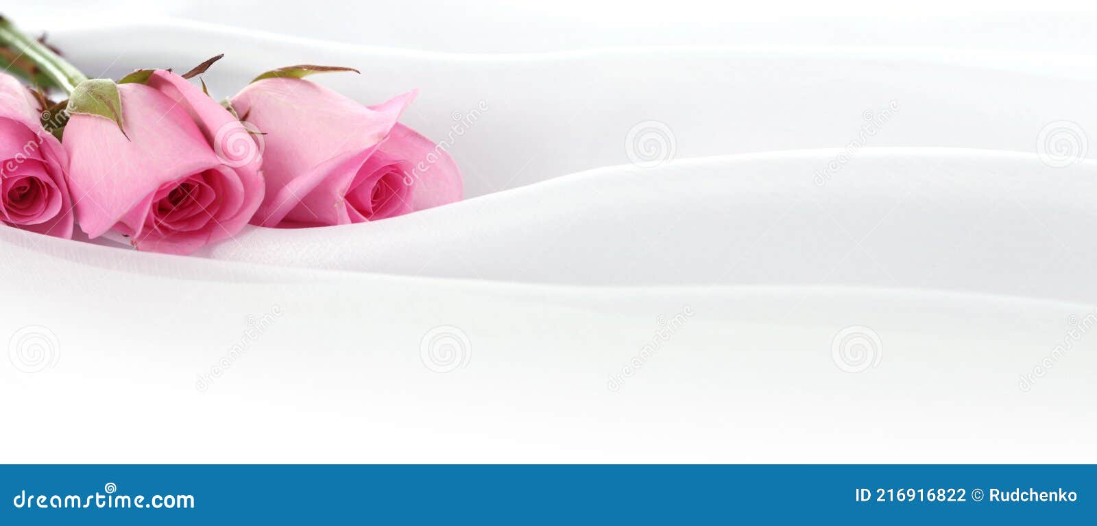 Pink Rose Flower Bouquet. Wedding Horizontal Background Stock Photo ...