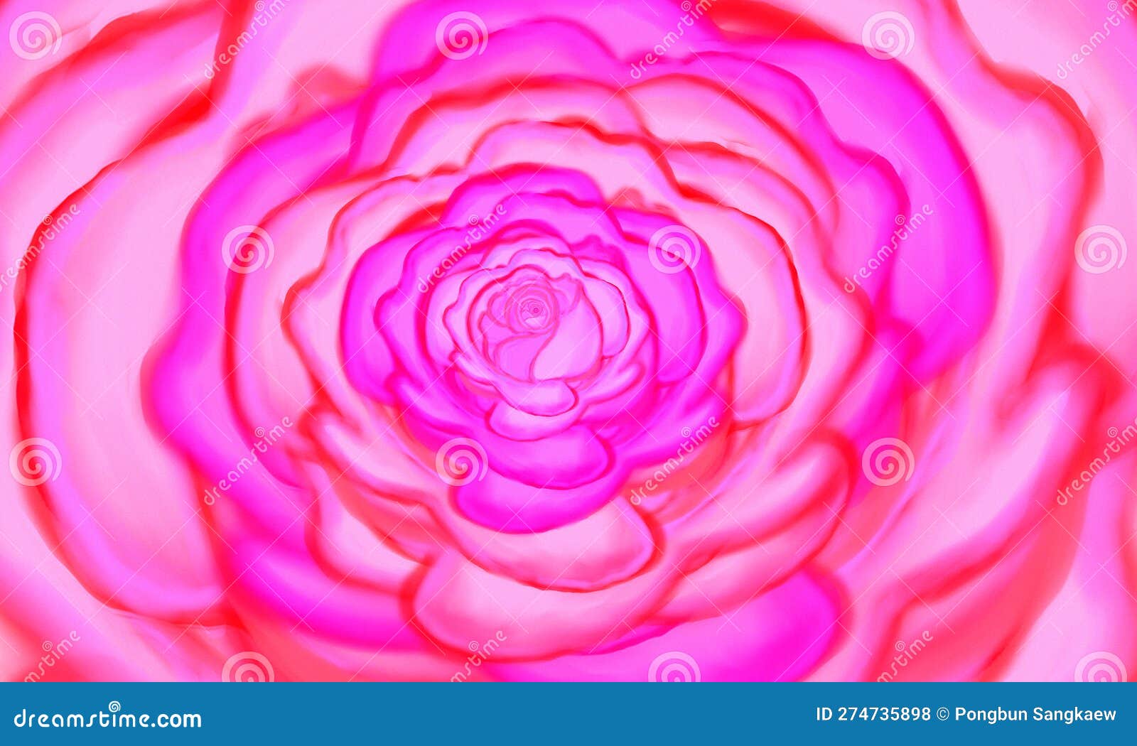 Pink Rose Flower Hand Drawn Illustration Stock Illustration ...