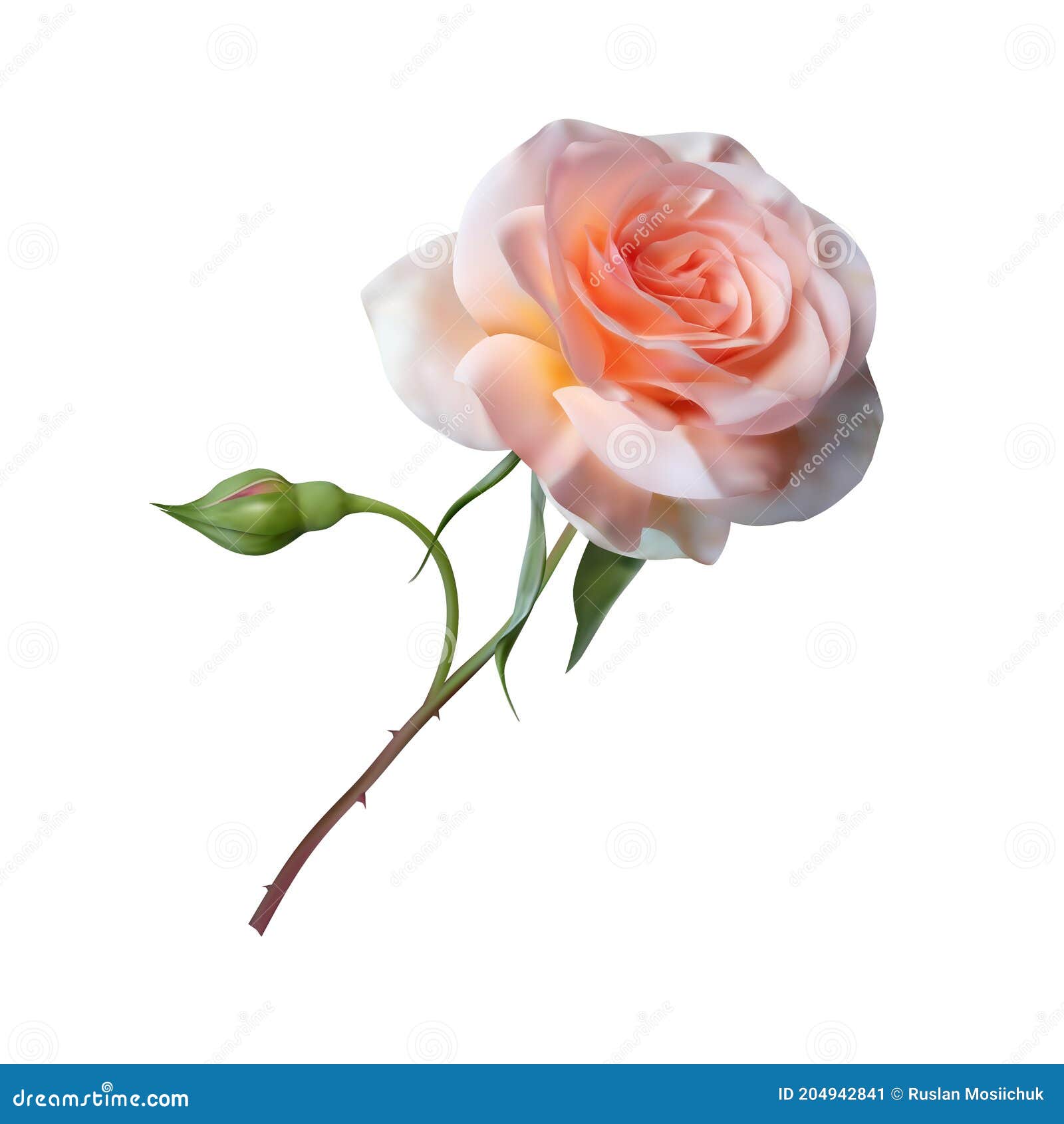 Pink Rose Flower with Thorns and Bud. Vector Illustration Stock ...