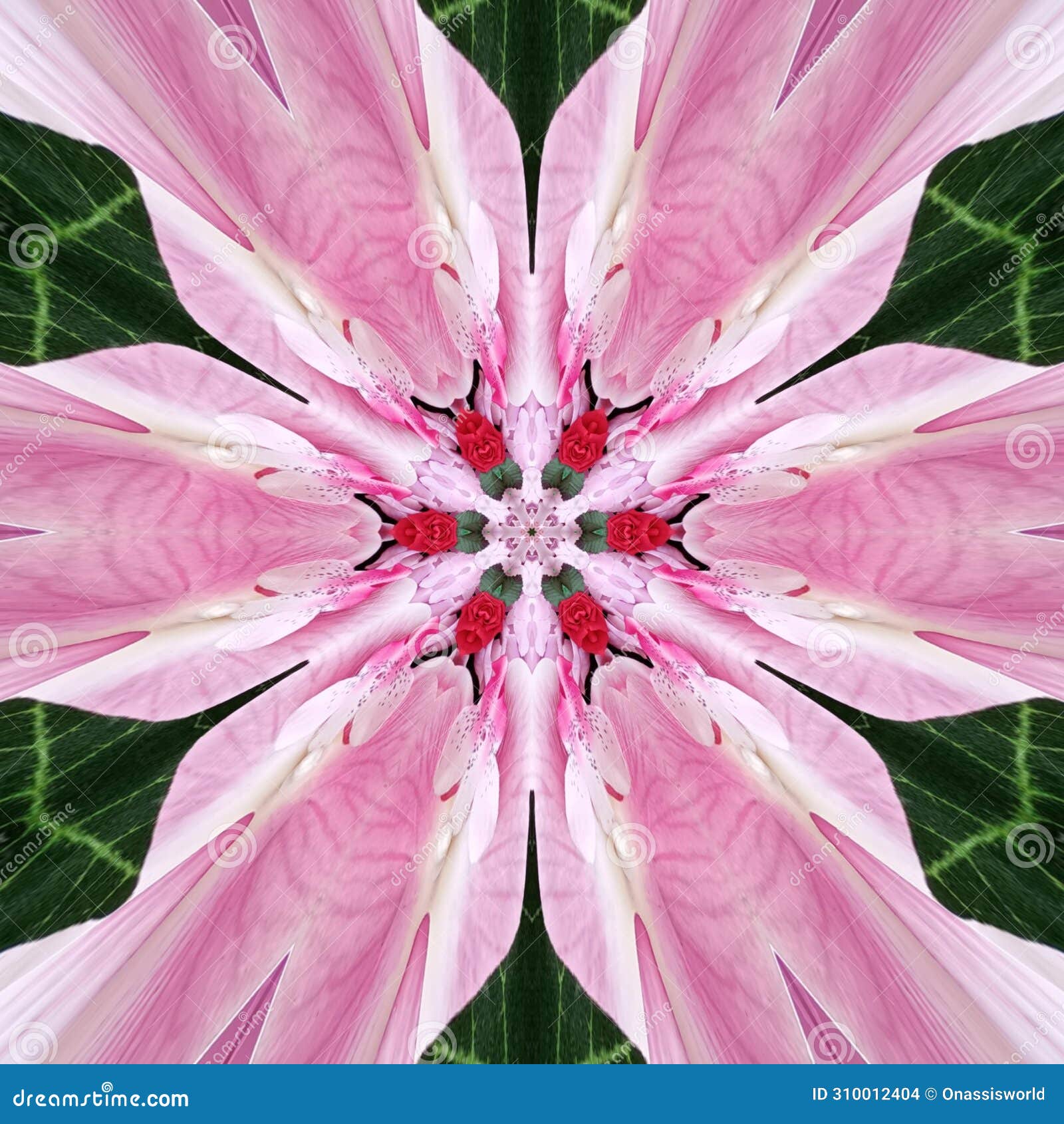 Pink Rose Flowers Abstract Backgrounds Blurs Shapes Stock Photo - Image ...