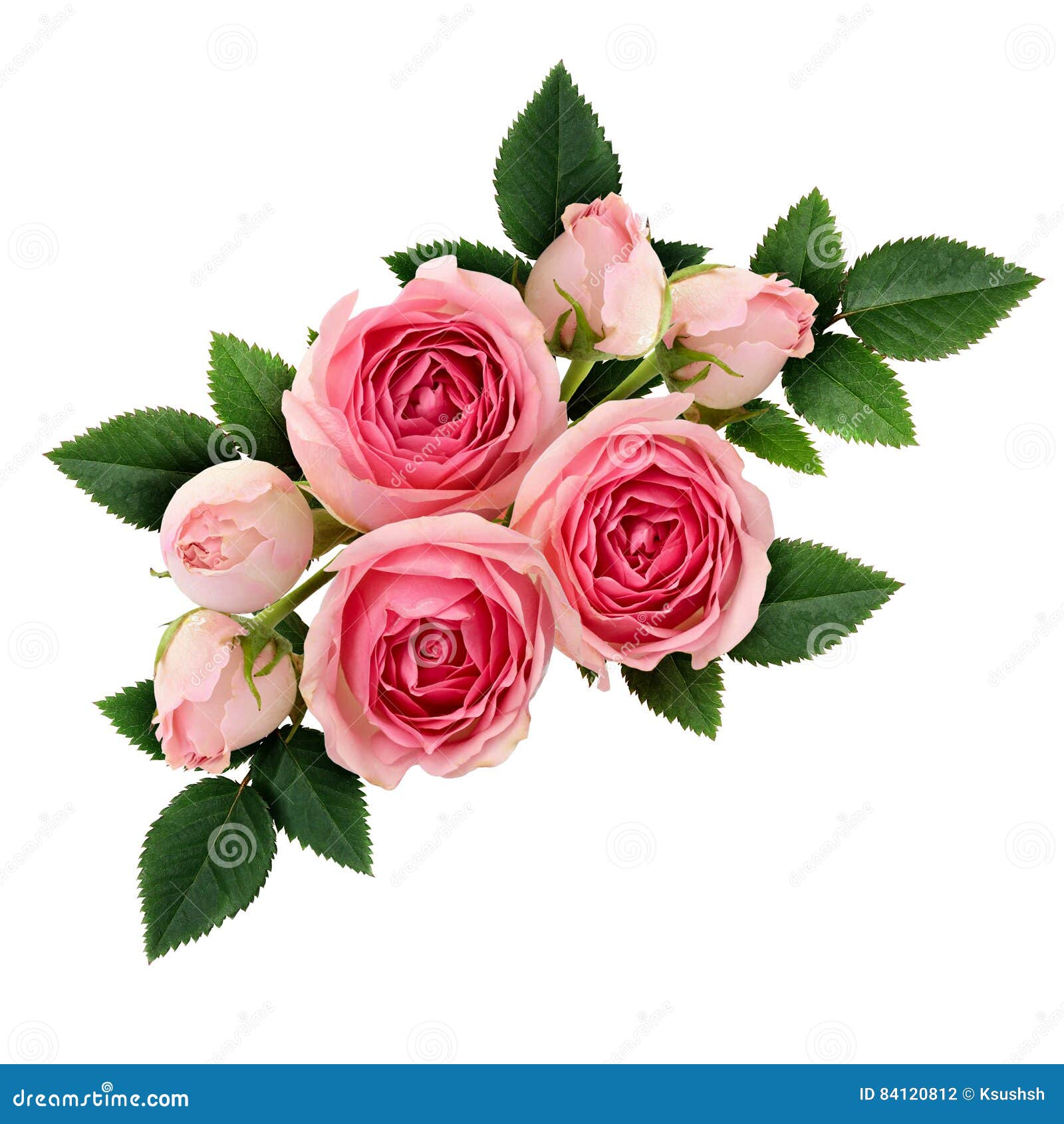 Pink Rose Flowers Arrangement Stock Photo - Image of rose, composition ...