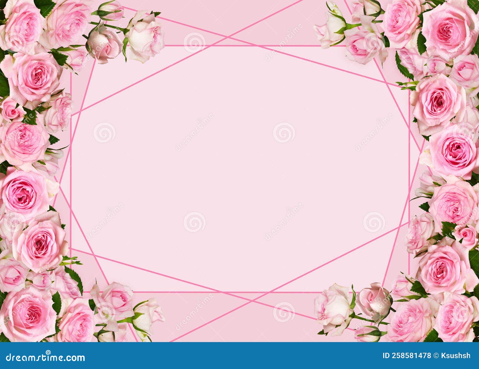 Pink Rose Flowers in a Borders Arrangement with Geometric Frame Stock ...