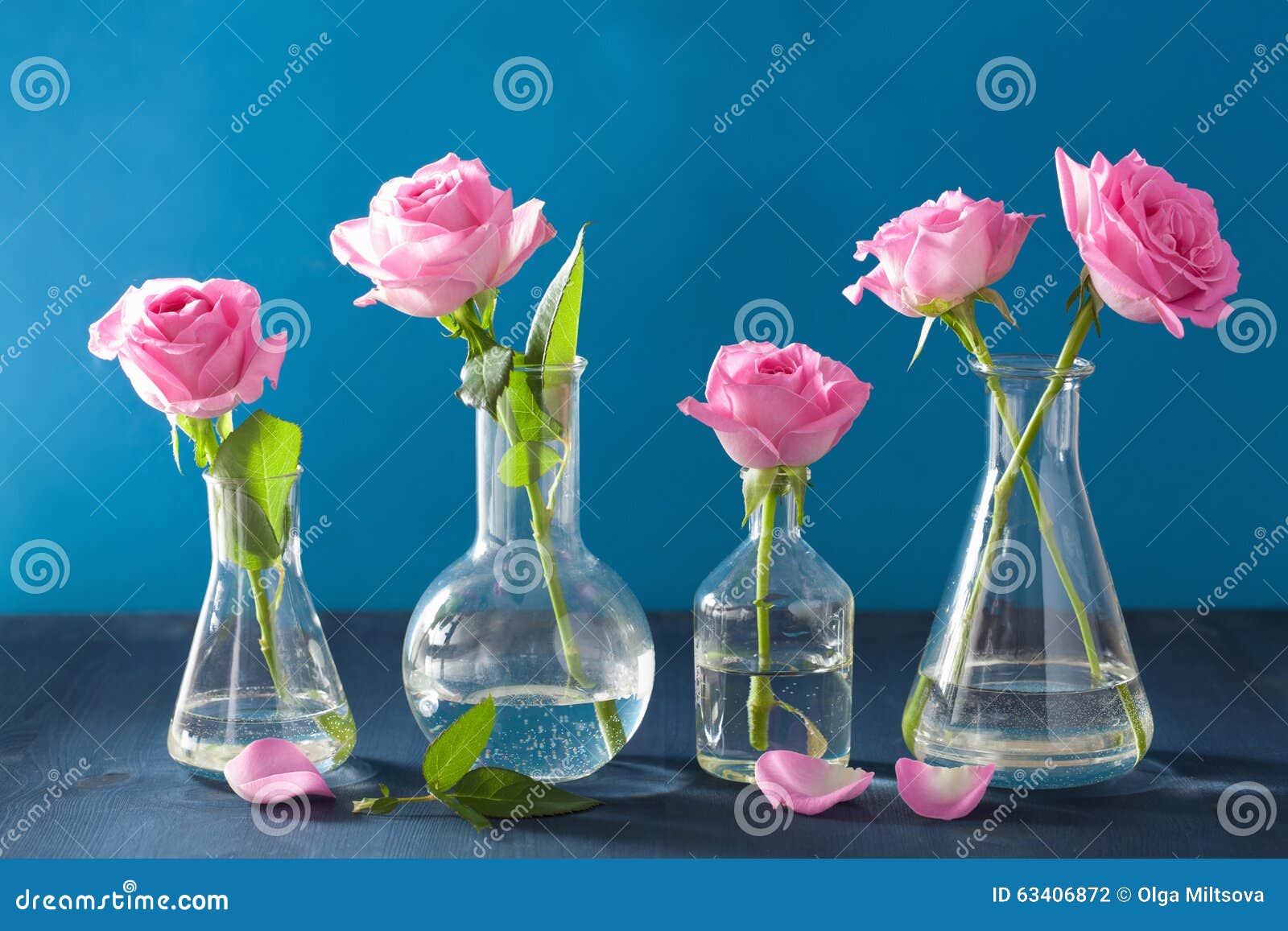 Pink Rose Flowers in Chemical Flasks Over Blue Stock Photo - Image of ...