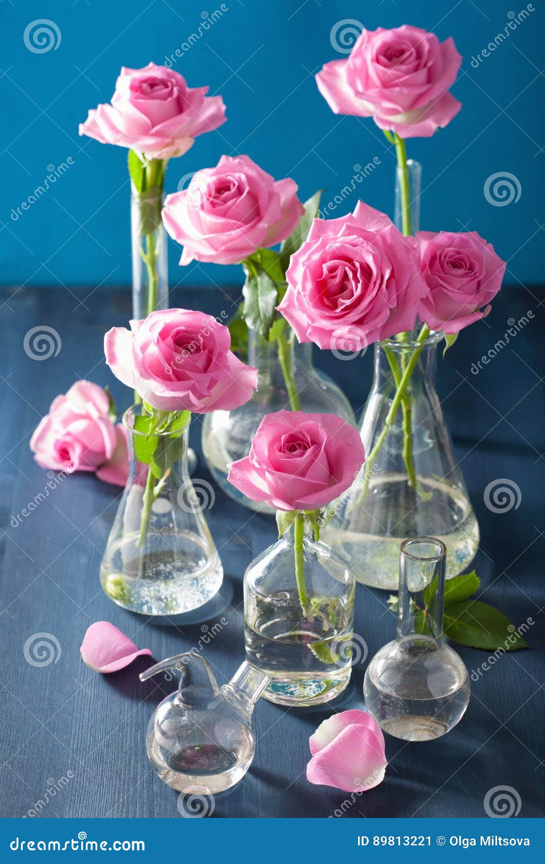 Pink Rose Flowers in Chemical Flasks Over Blue Stock Image - Image of ...