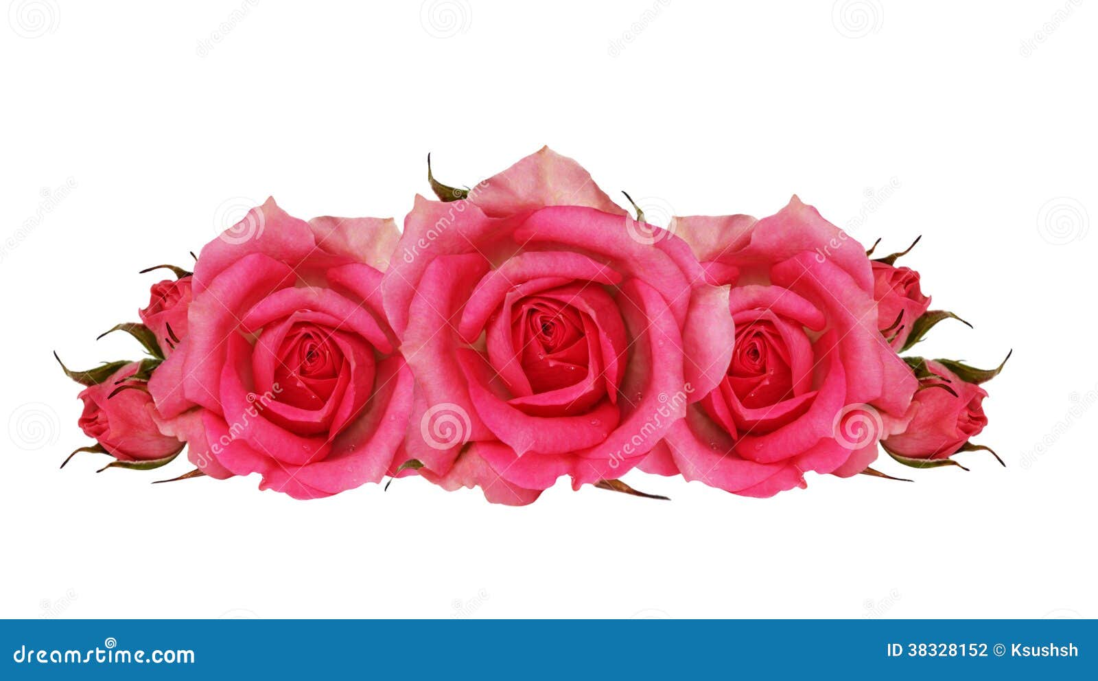 Pink Rose Flowers Composition Stock Photo - Image of collage, beautiful ...