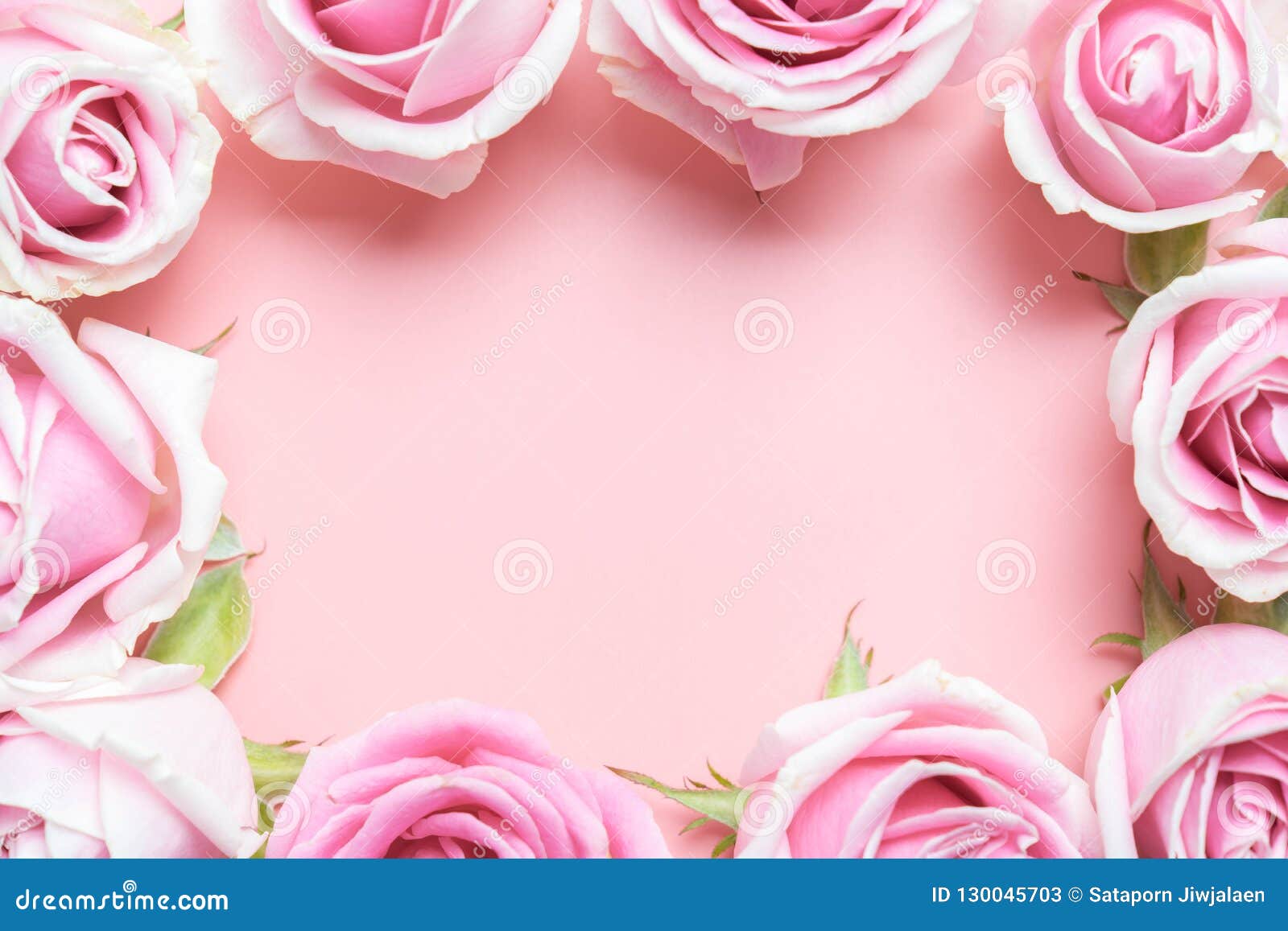 Pink Rose Flowers Frame on Pink Stock Image - Image of border, roses ...