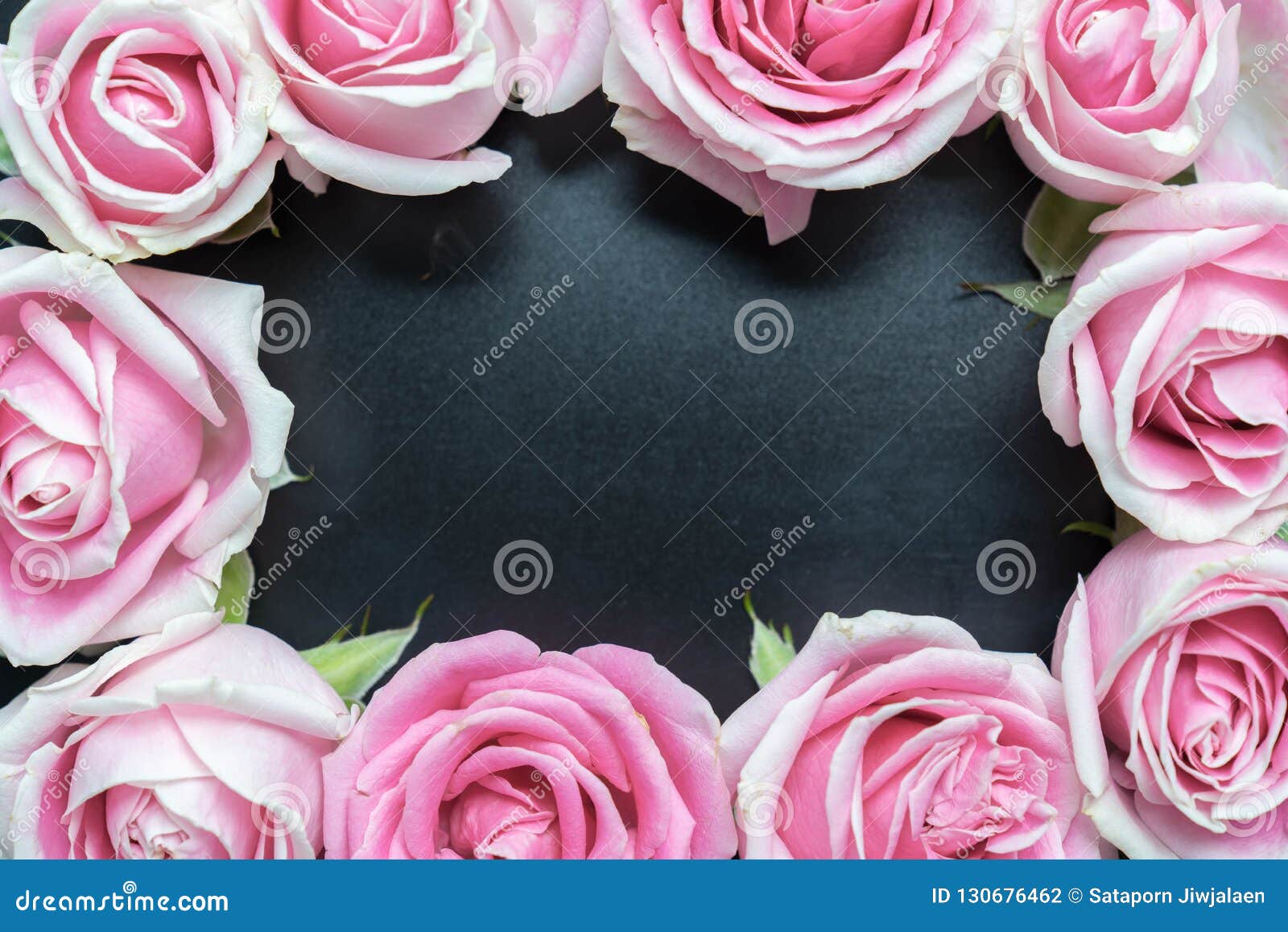 Pink Rose Flowers Frame on Black Stock Photo - Image of pink, concept ...