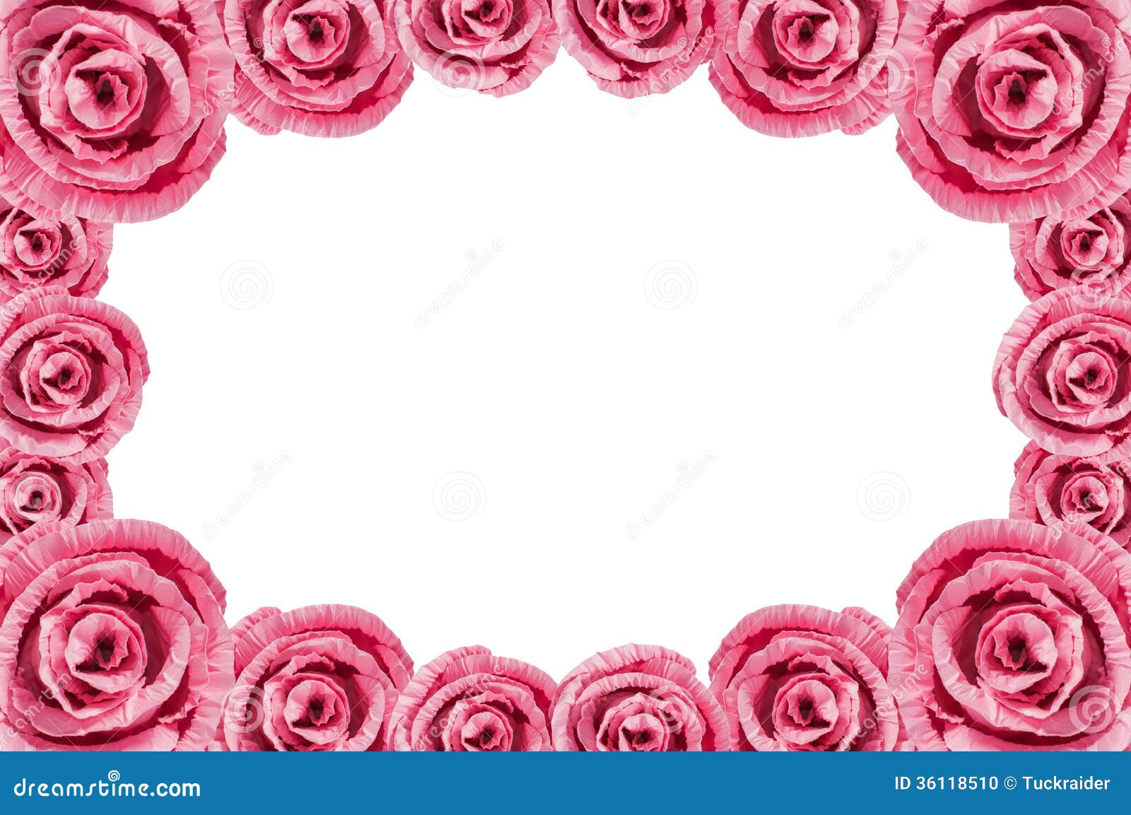 Rose Photo Frame Wallpaper