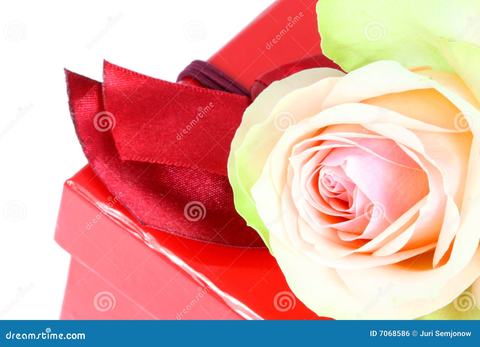 Pink rose and gift box. stock photo. Image of pink, white - 7068586