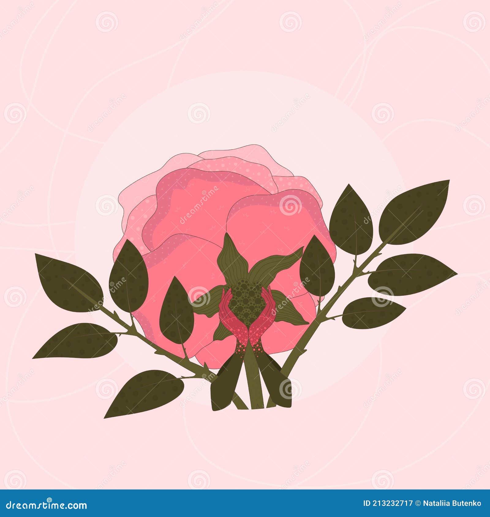 A Pink Rose Inside a Circle Stock Vector - Illustration of design ...