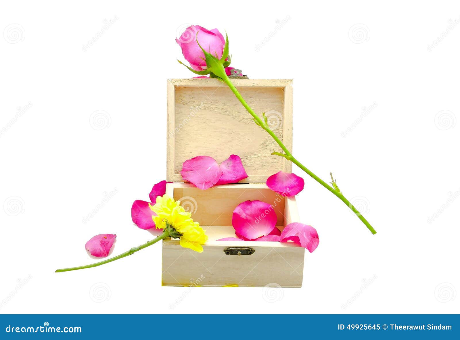 Pink Rose on Little Wooden Box Stock Image - Image of love, carton ...