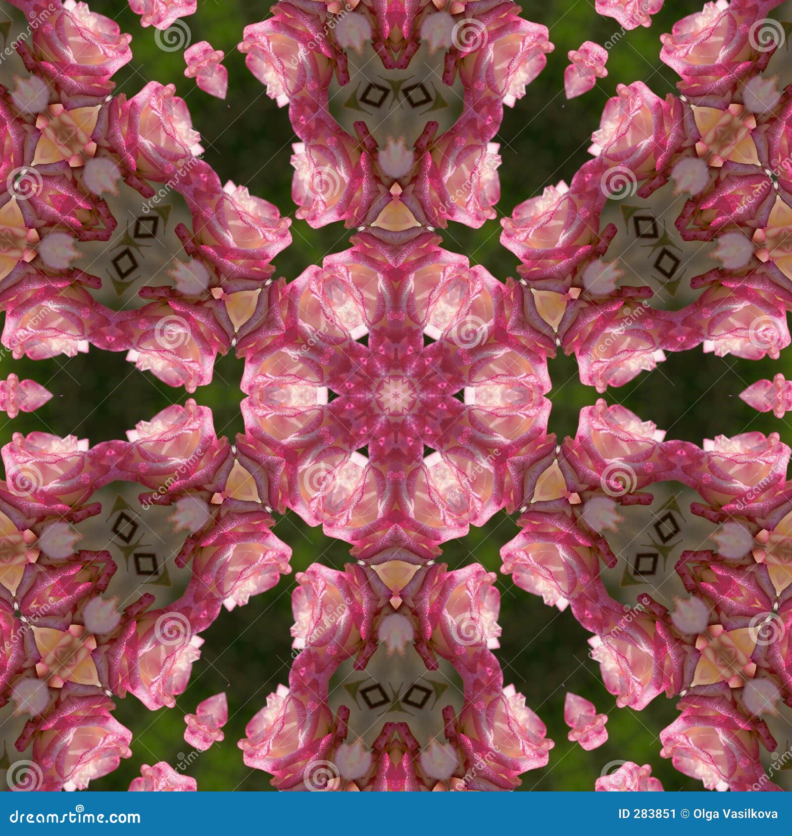 Pink rose mandala stock illustration. Illustration of radiating - 283851