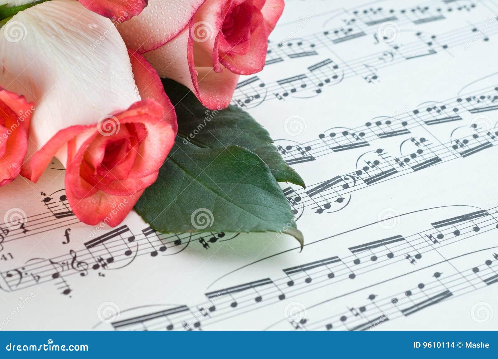 Pink rose and note stock photo. Image of arts, symbol - 9610114