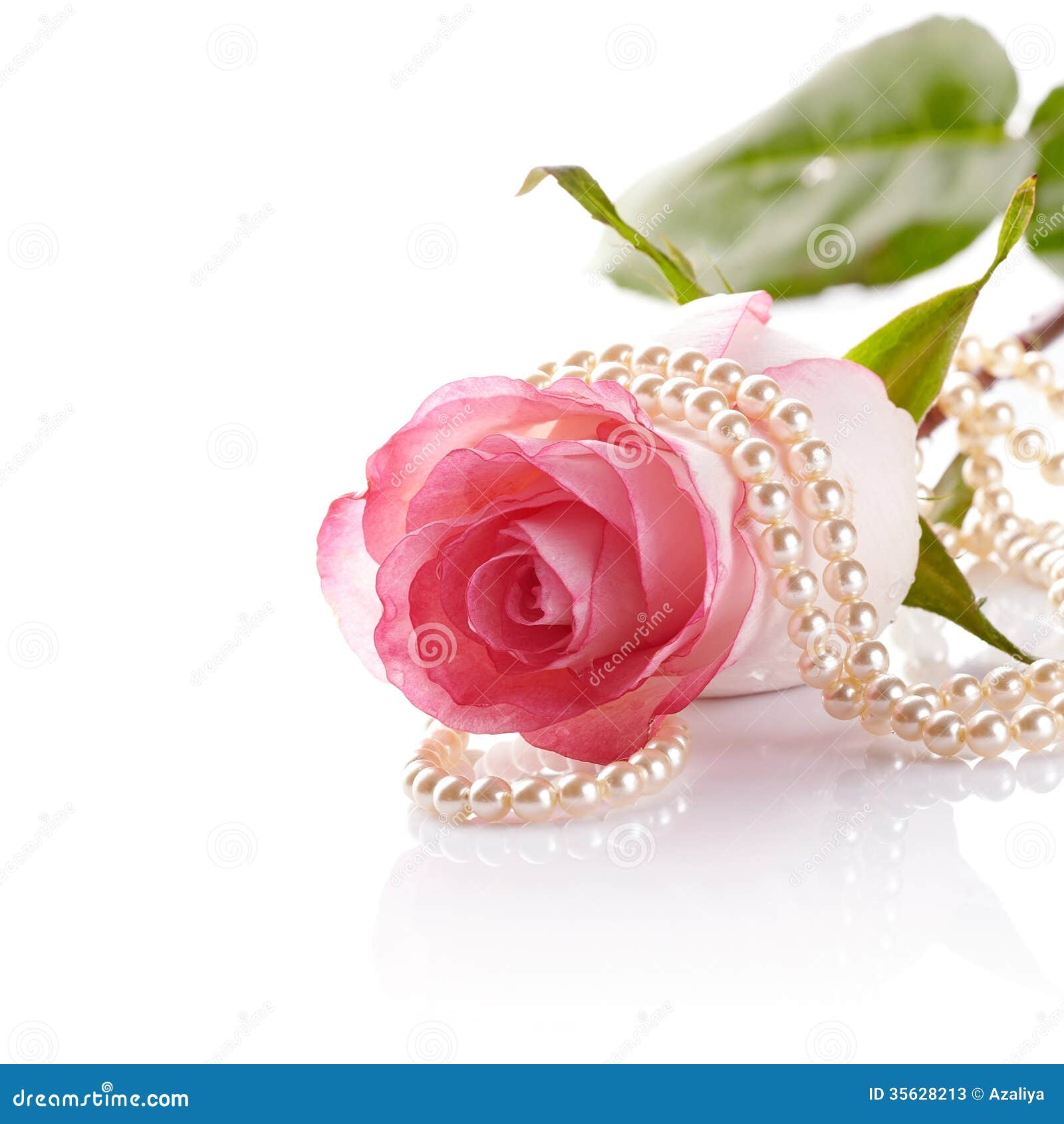 Pearl With Rose Background