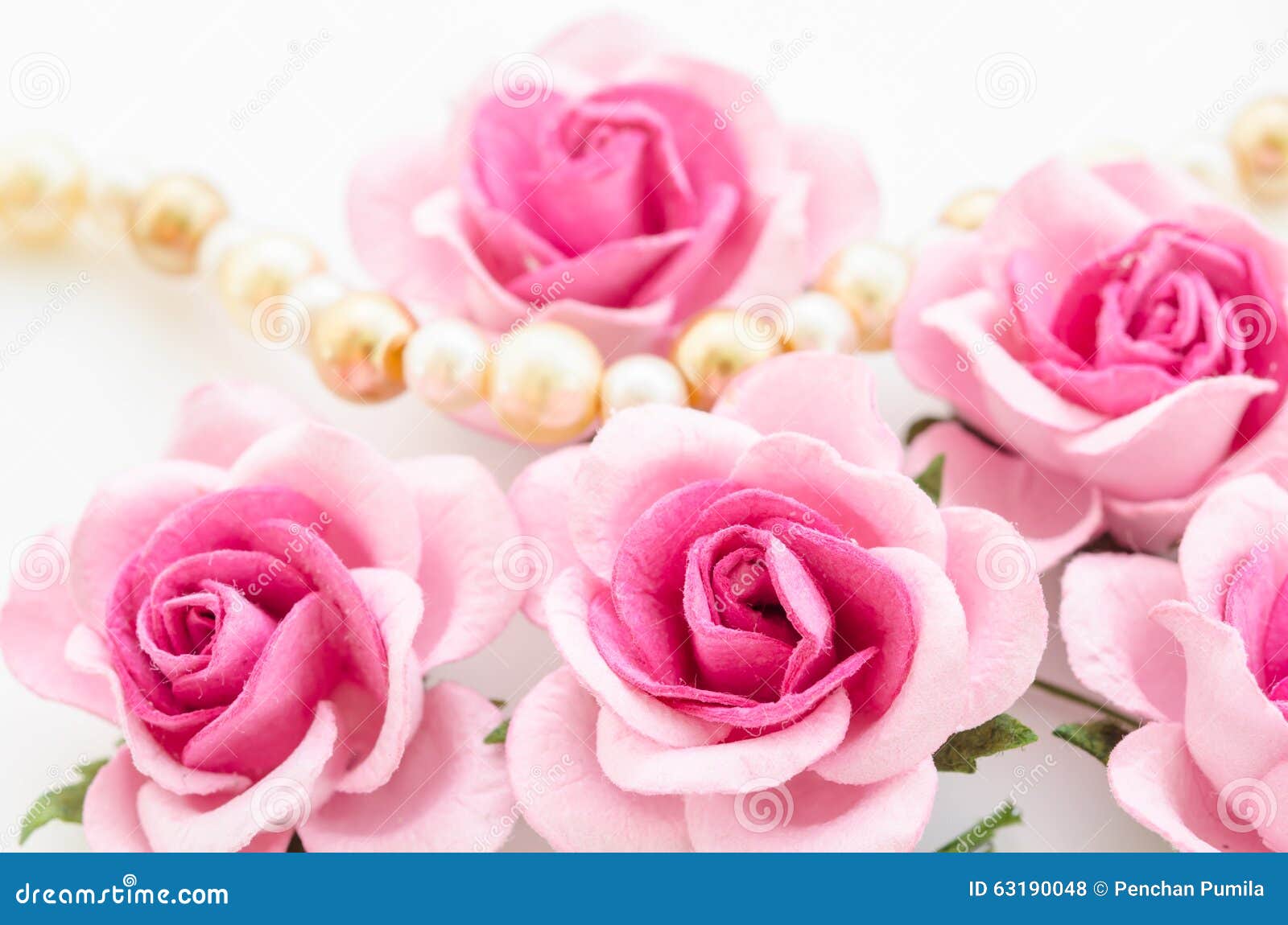 361 Pink Rose Lace Pearl Stock Photos - Free & Royalty-Free Stock ...