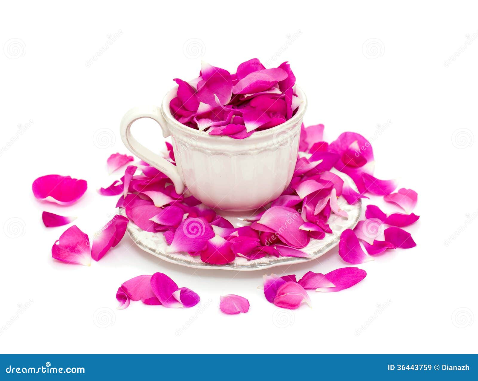 Pink Rose Petals in a Beautiful Tea Cup Stock Image - Image of isolated ...