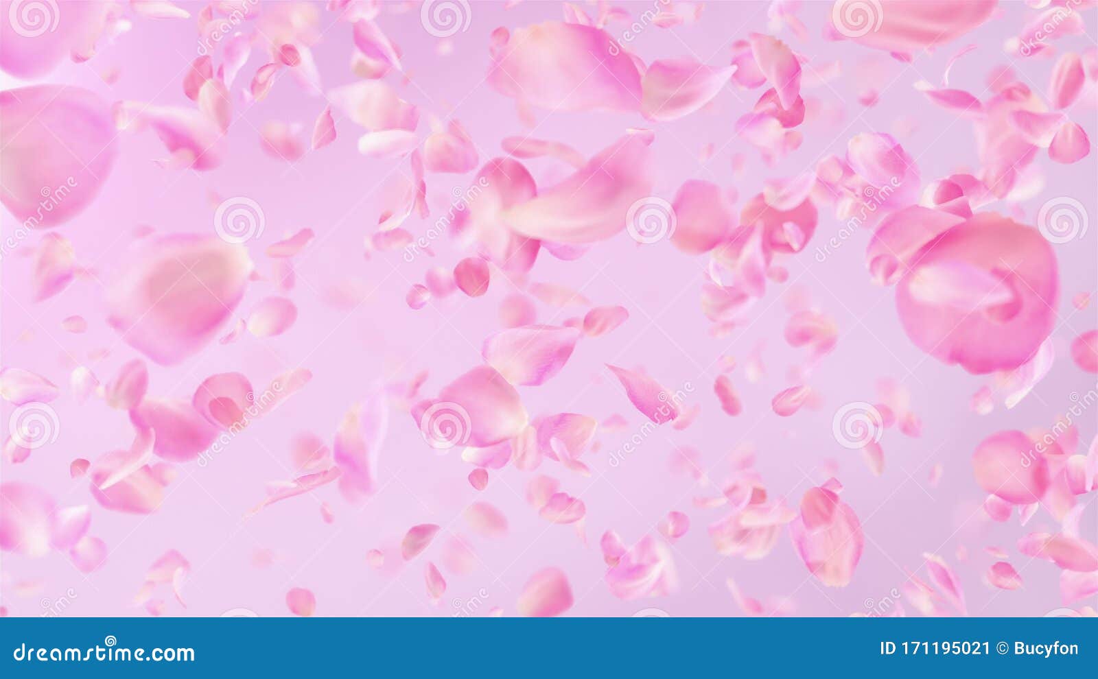 Pink Rose Petals Loopable Background in 4K Stock Video - Video of ...