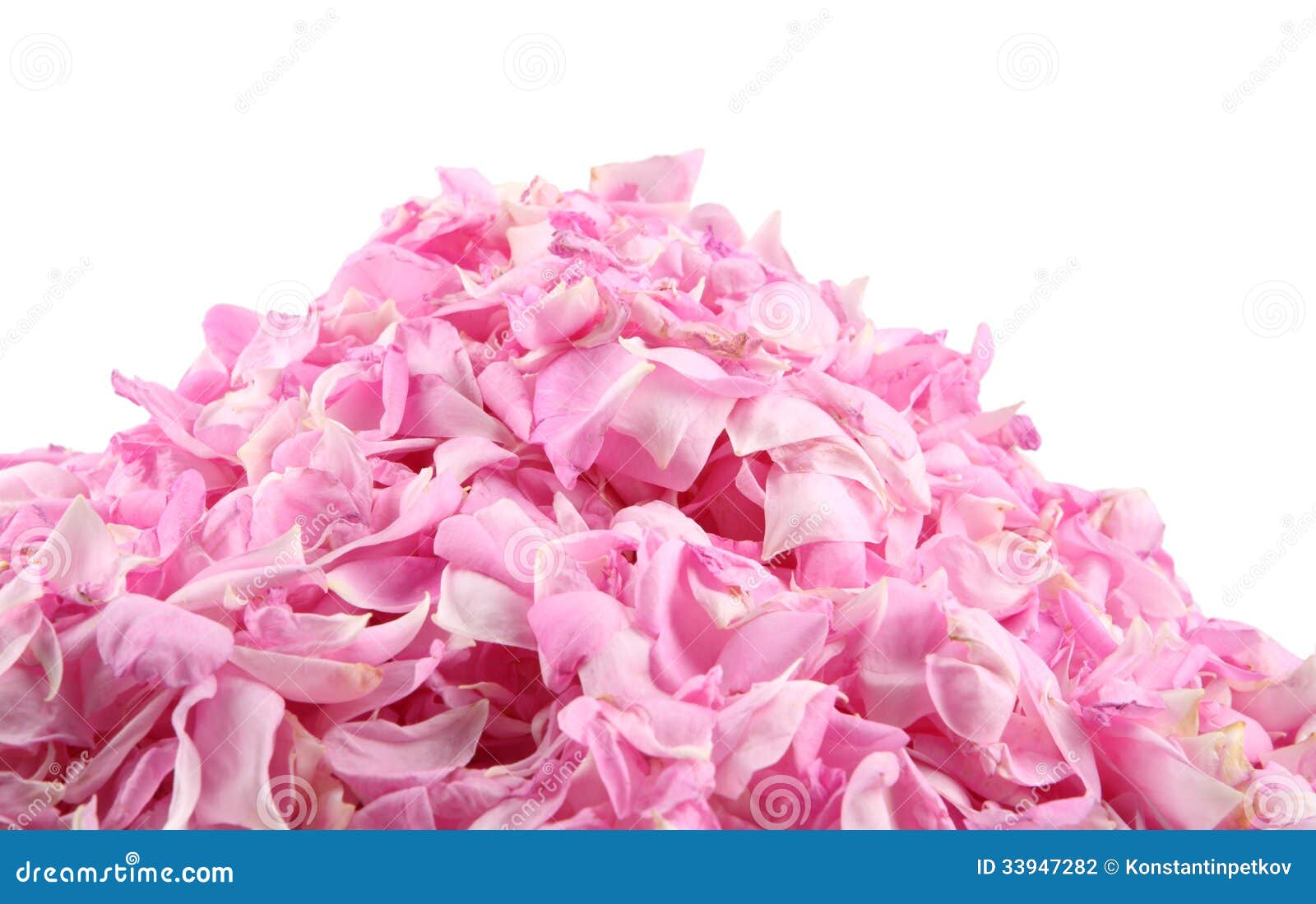 Pink Petals Stock Image | CartoonDealer.com #19303381