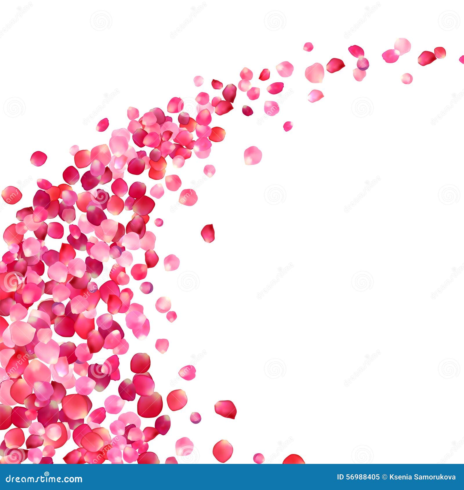 Pink rose petals vortex stock vector. Illustration of pink - 56988405