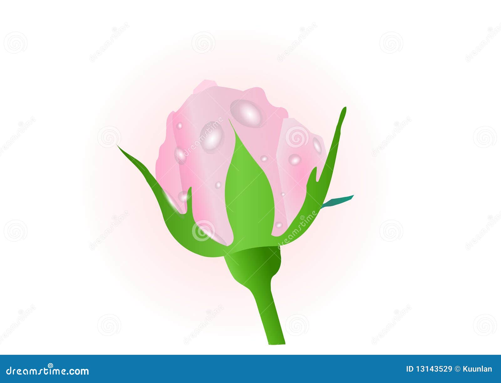 Pink rose with rain drops stock illustration. Illustration of emotion ...