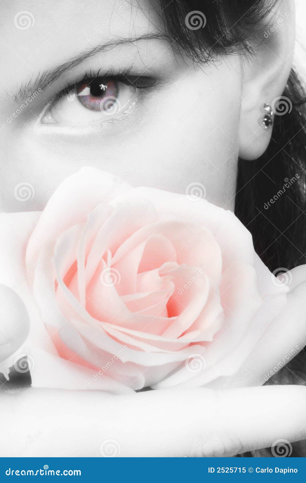 Pink rose and red eye stock image. Image of caucasian - 2525715