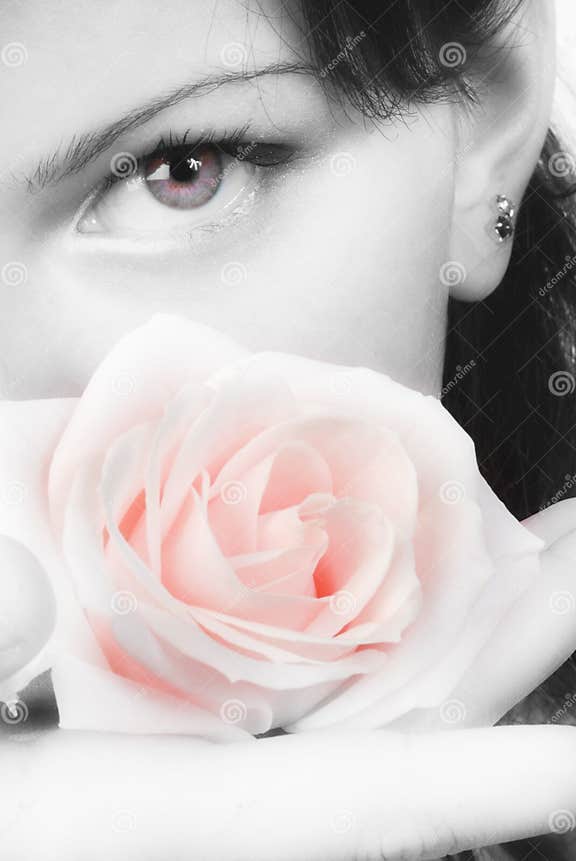 Pink rose and red eye stock image. Image of caucasian - 2525715