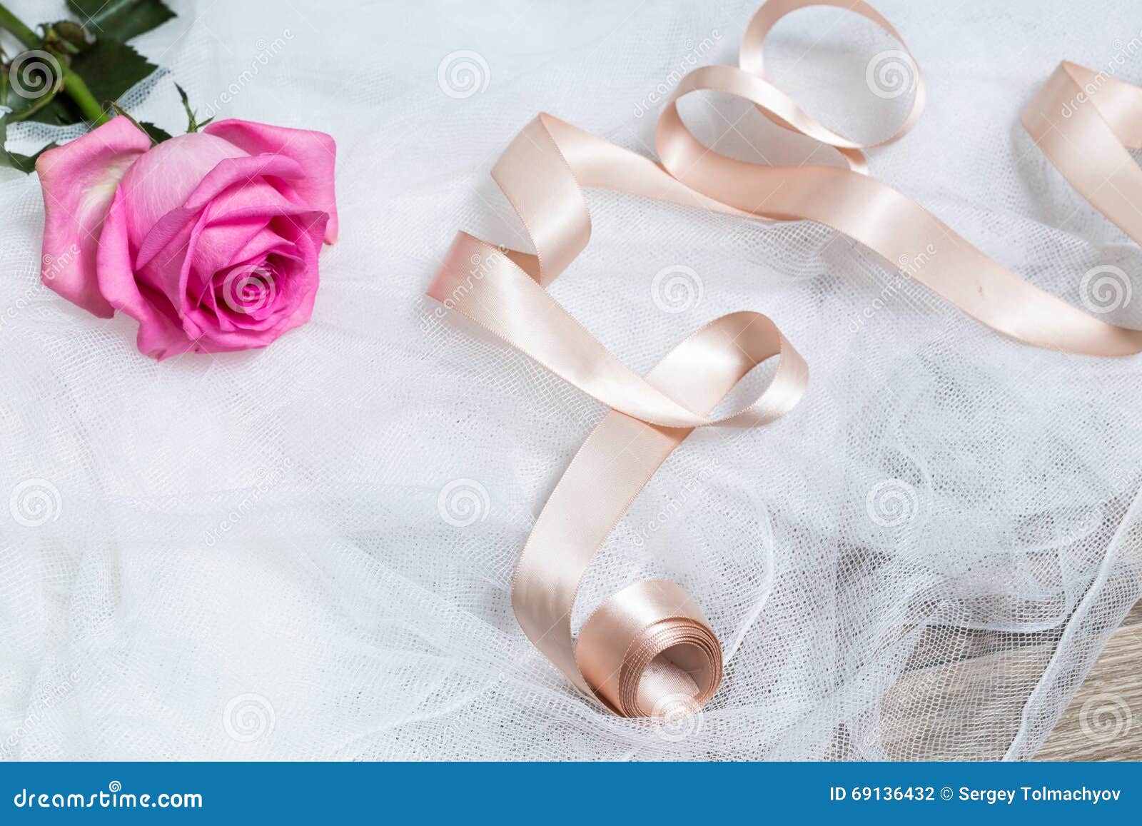 Pink rose and ribbon stock photo. Image of occupation - 69136432