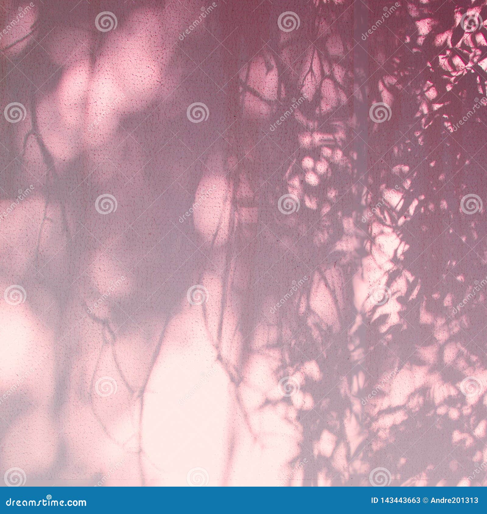 Pink, Rose Shadows from Trees on a Plastered Wall Stock Image - Image ...