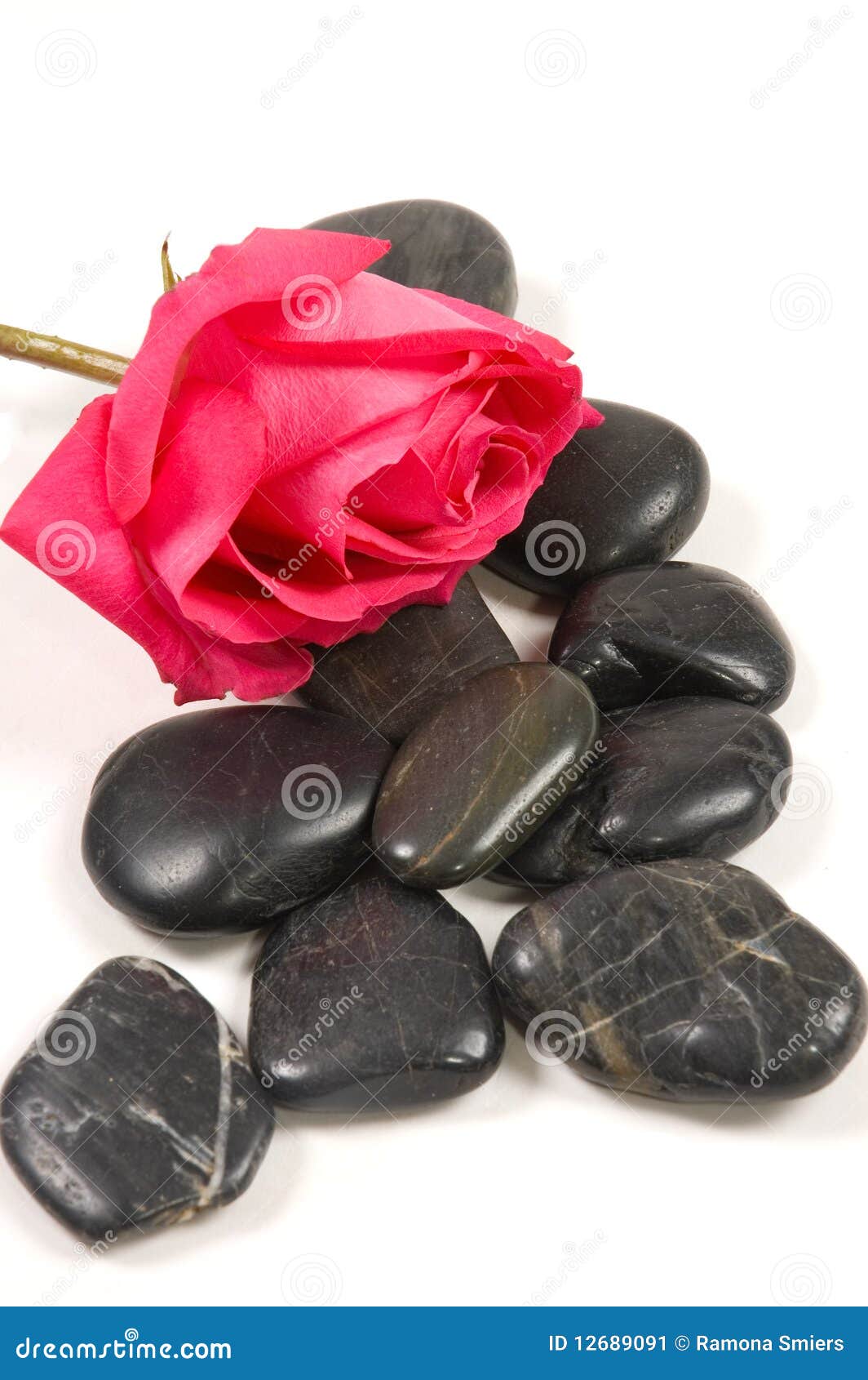 3,946 Pink Rose Stones Stock Photos - Free & Royalty-Free Stock Photos ...