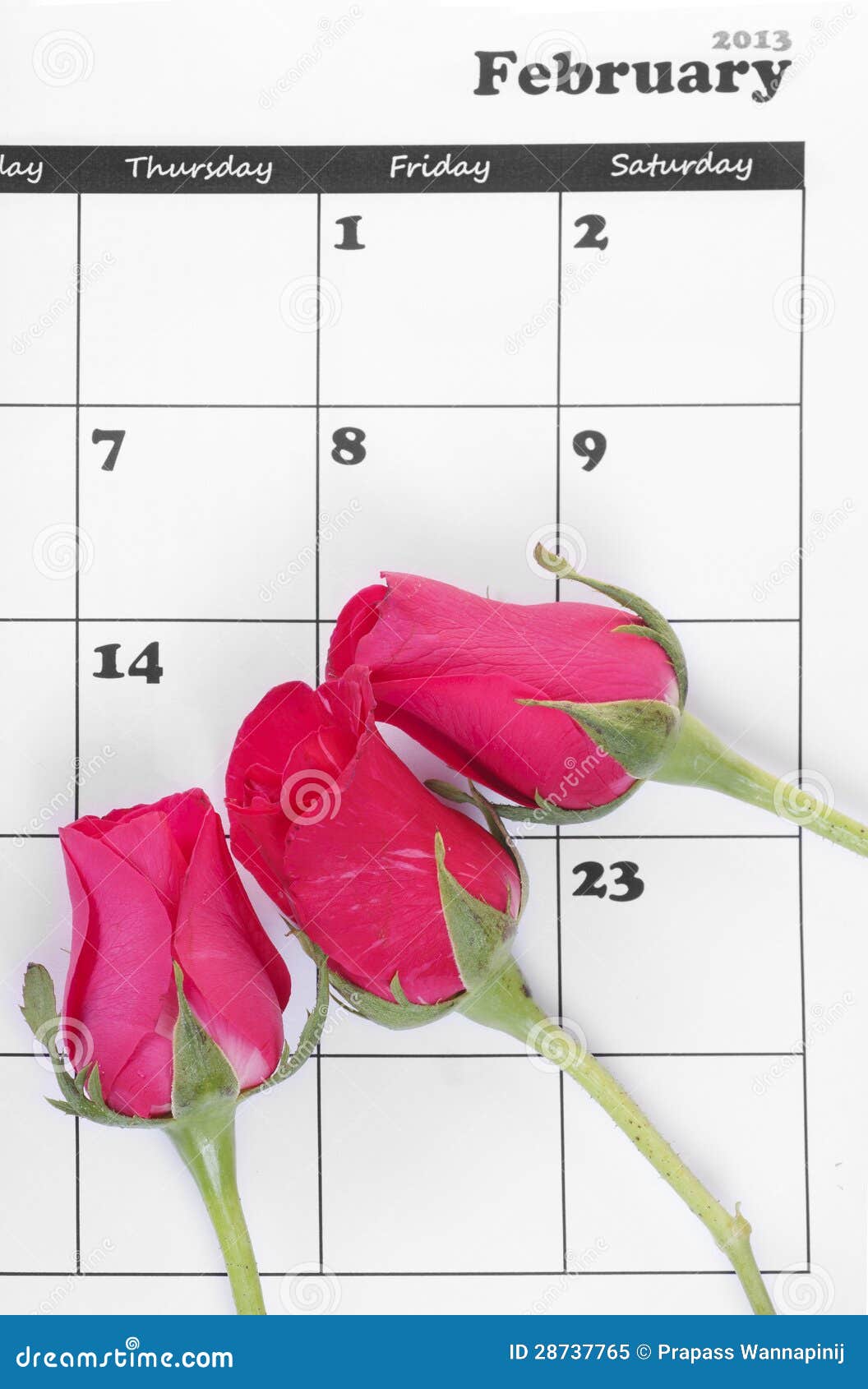 Pink Rose on Valentine Calendar Stock Image - Image of desire, pink ...