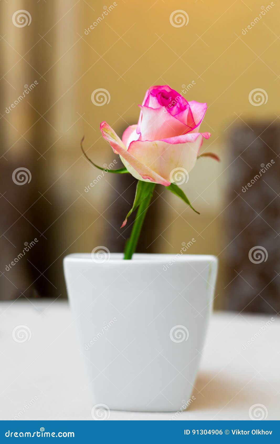 Pink Rose in a Vase As Table Decoration. Table Setting Stock Photo ...